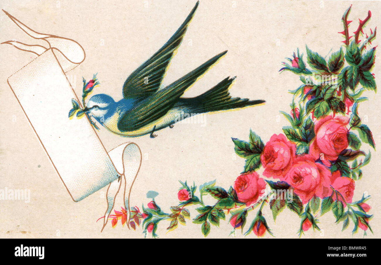 Rose bird hi-res stock photography and images - Alamy