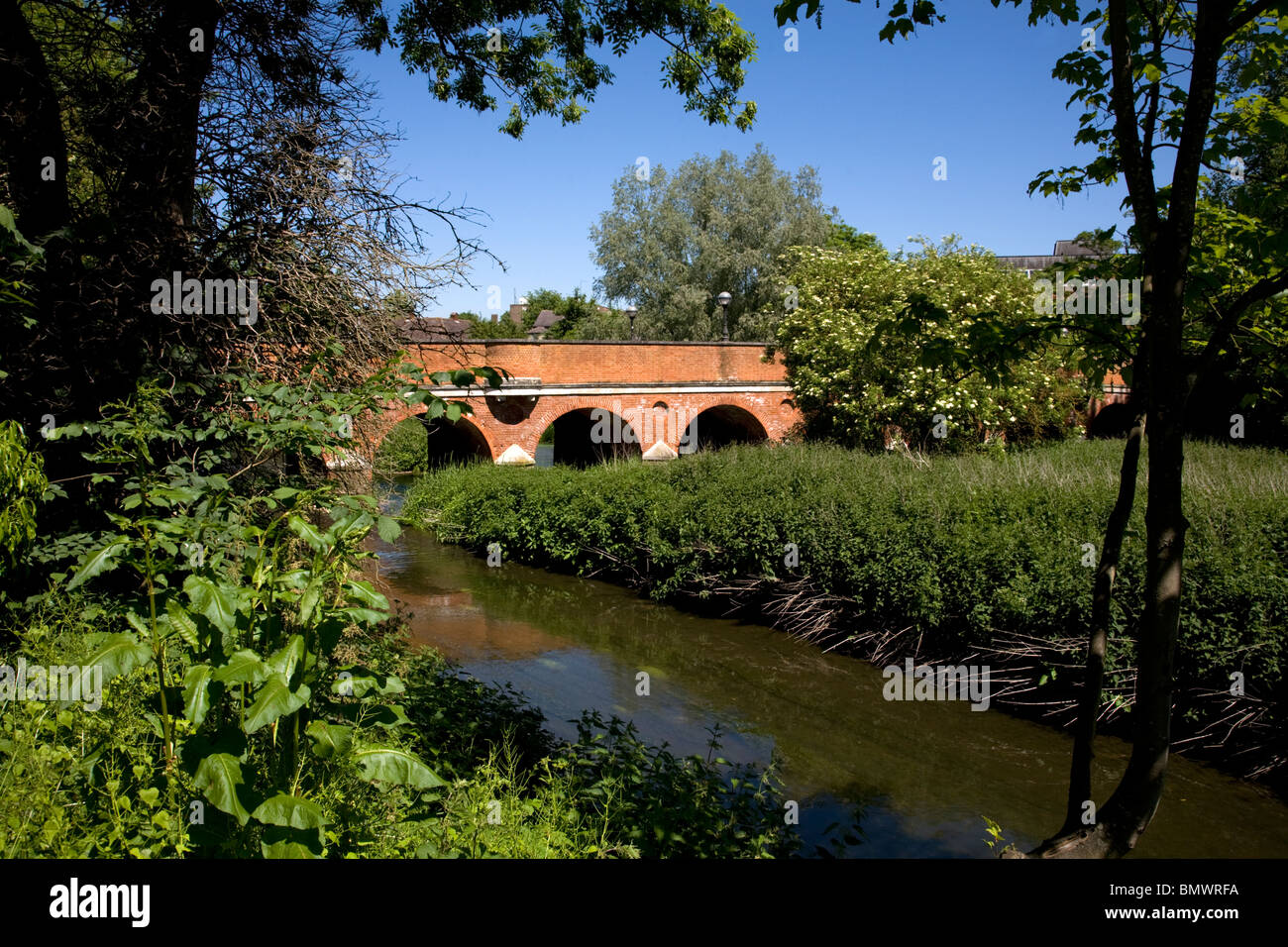 River Mole Leatherhead Surrey England Stock Photo - Alamy