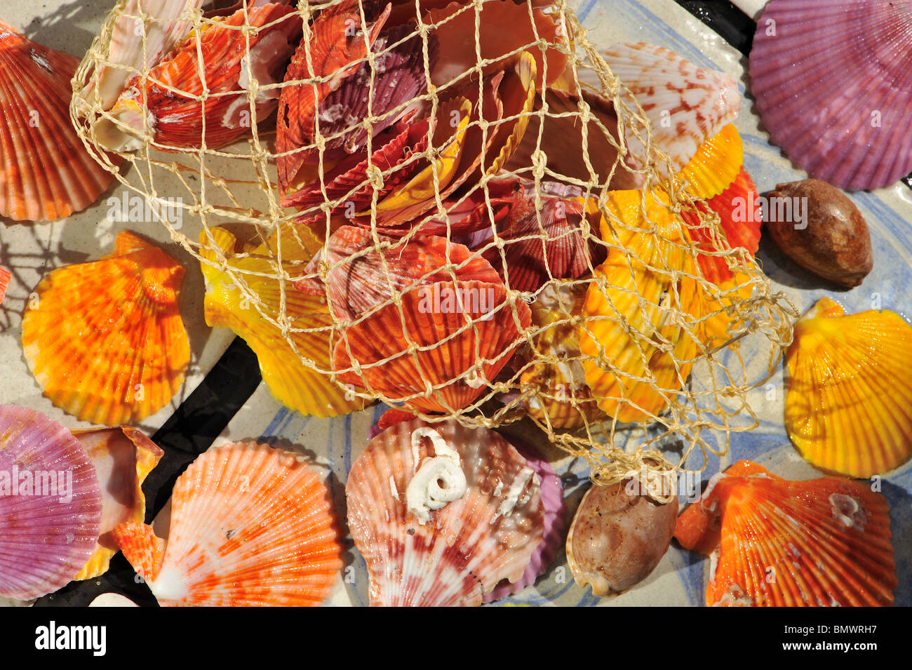Marine texture hi-res stock photography and images - Alamy