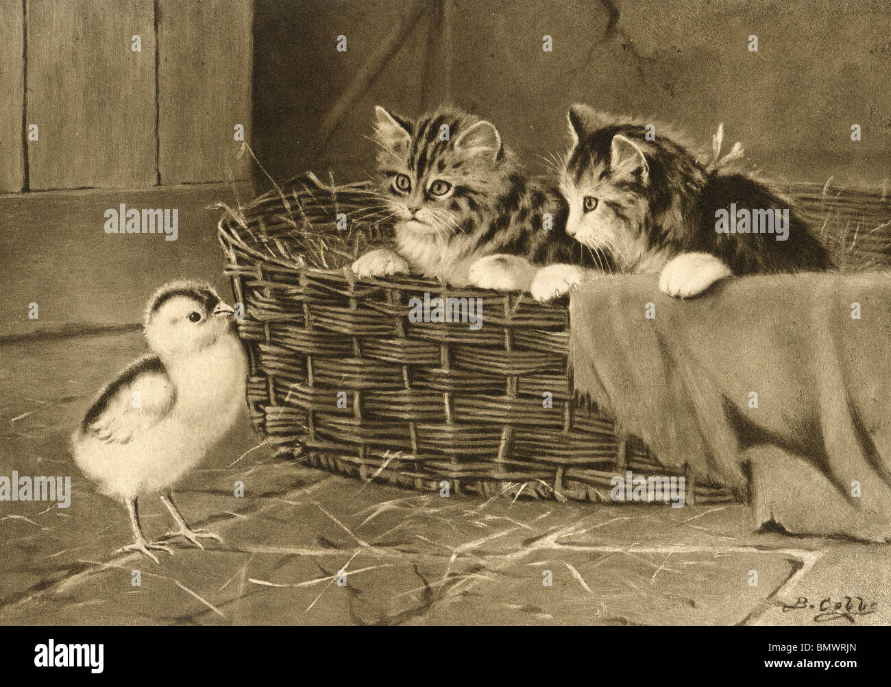 The Cats and their Friend Stock Photo - Alamy
