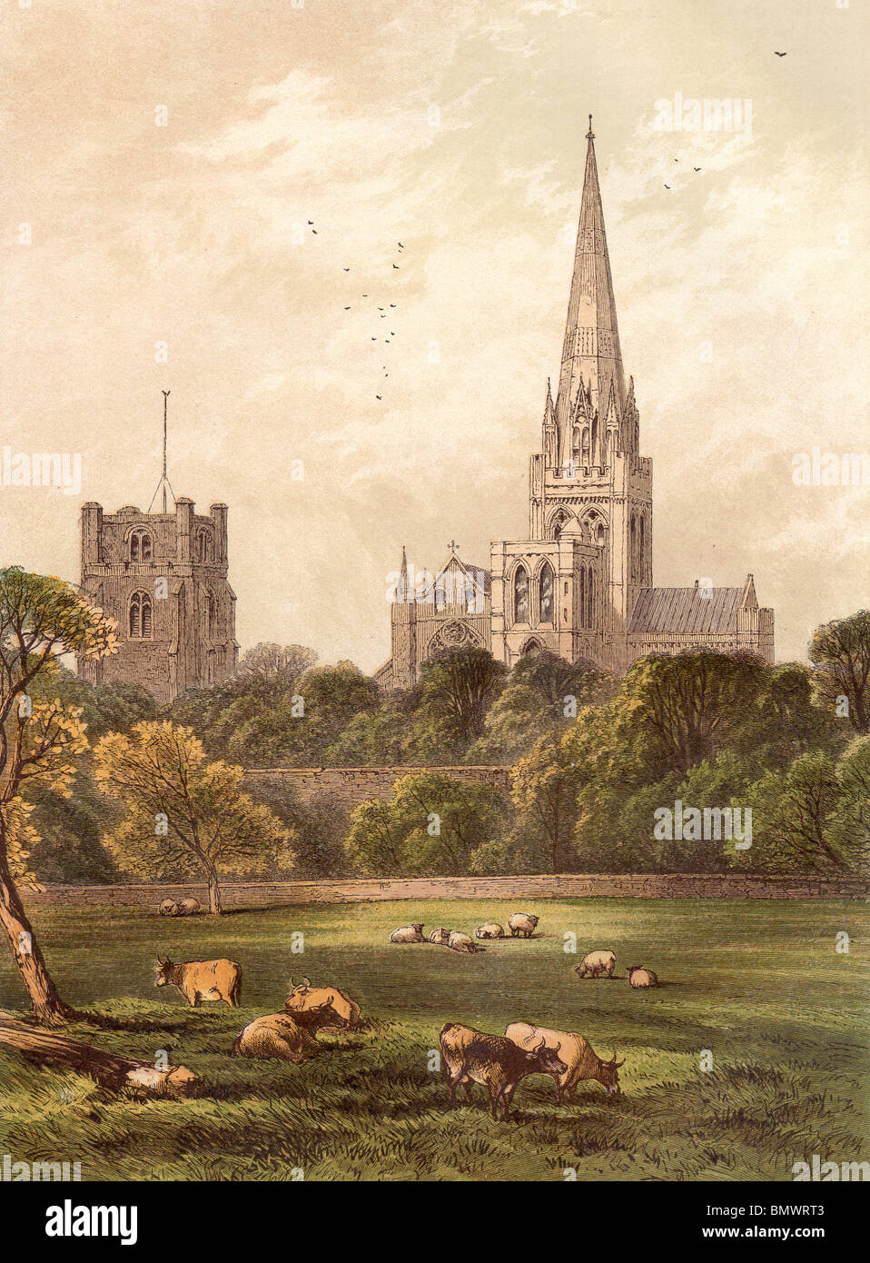 Chichester cathedral drawing hi-res stock photography and images - Alamy