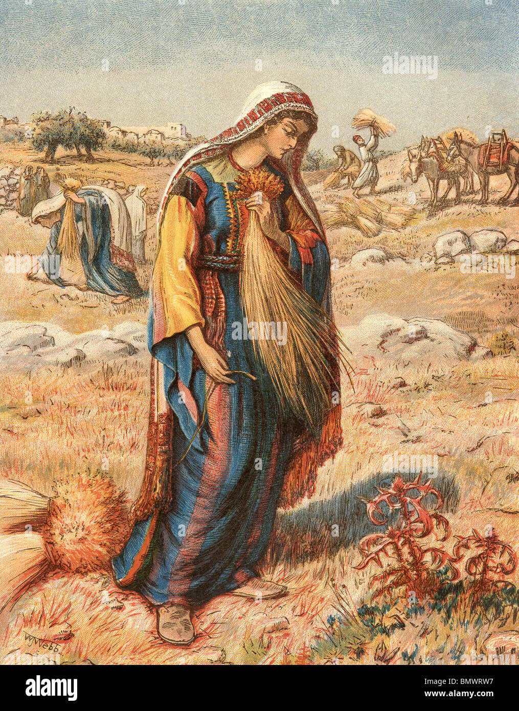 Gleaner hi-res stock photography and images - Alamy