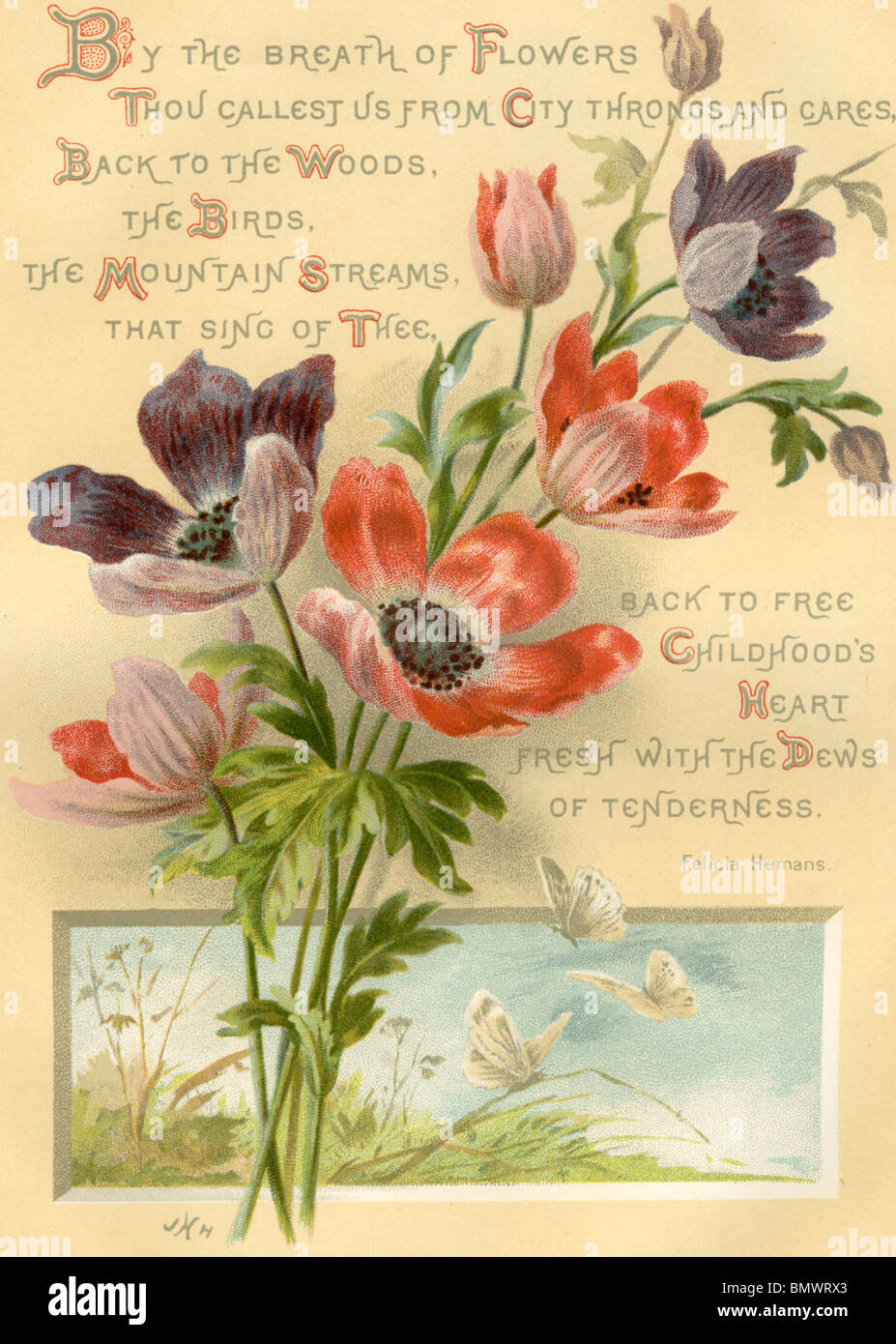 Poppies and Poem Stock Photo - Alamy