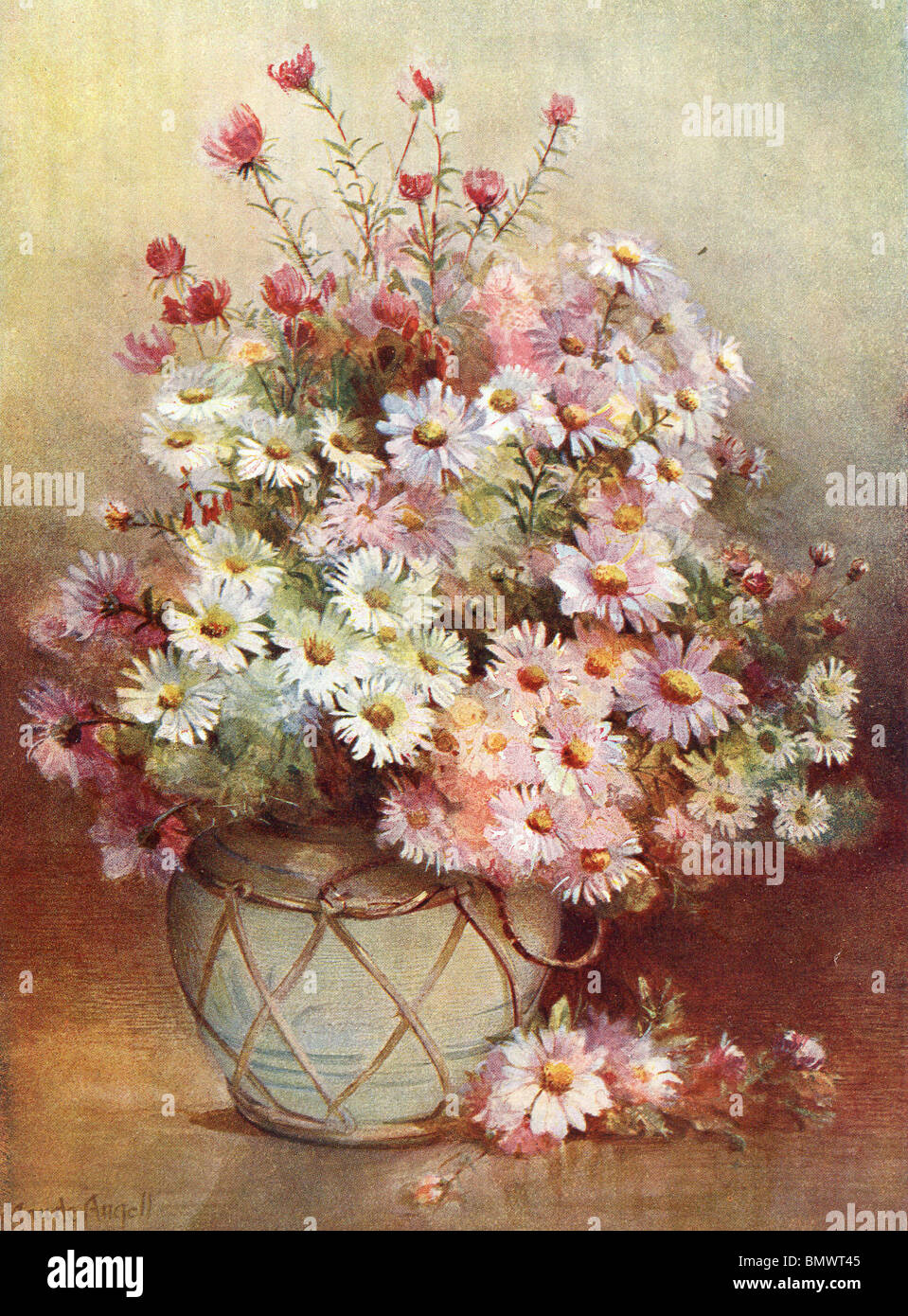 Old fashioned daisies flowers hi-res stock photography and images - Alamy