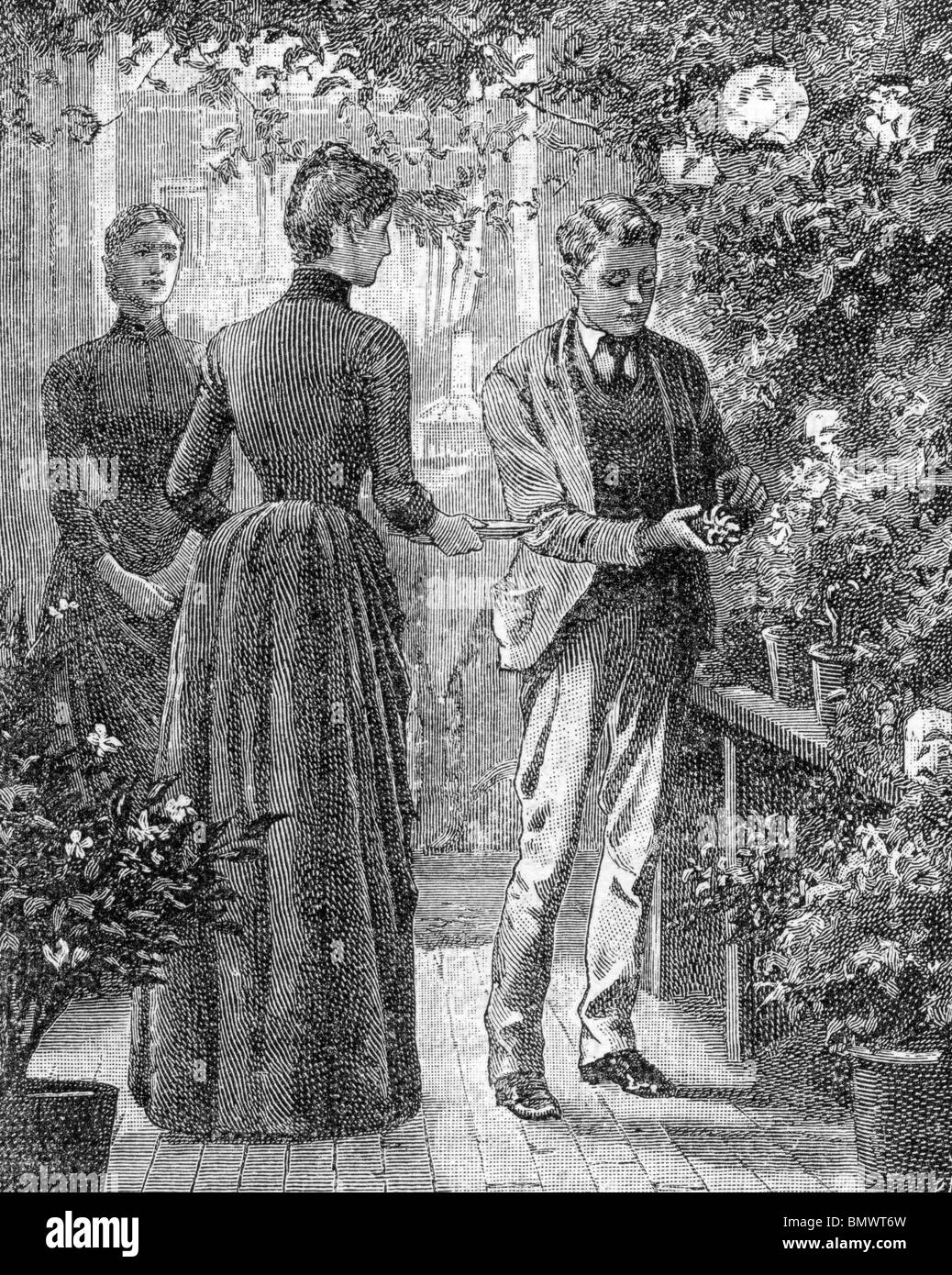 Posies hi-res stock photography and images - Alamy