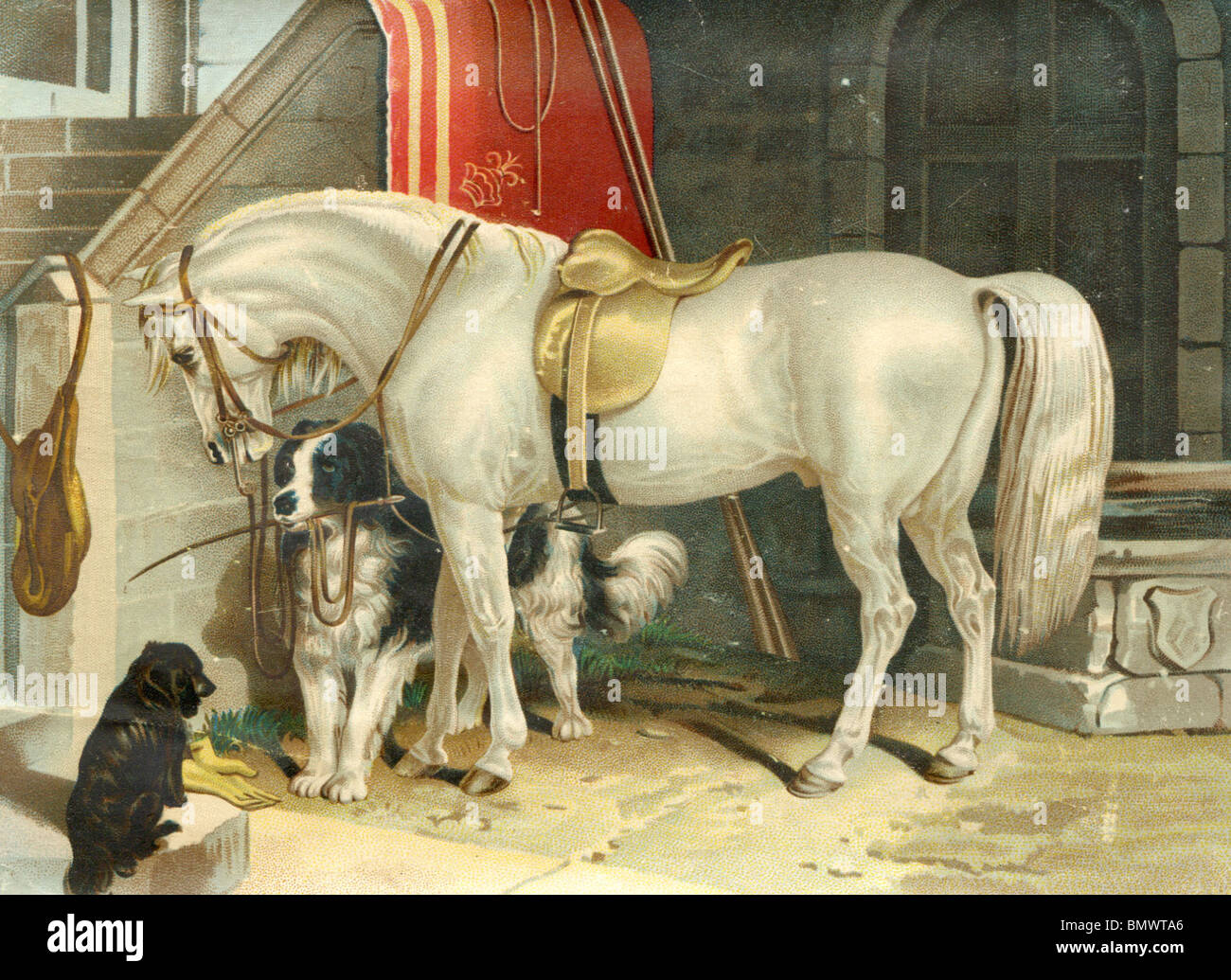 Horse stable drawing hi-res stock photography and images - Alamy