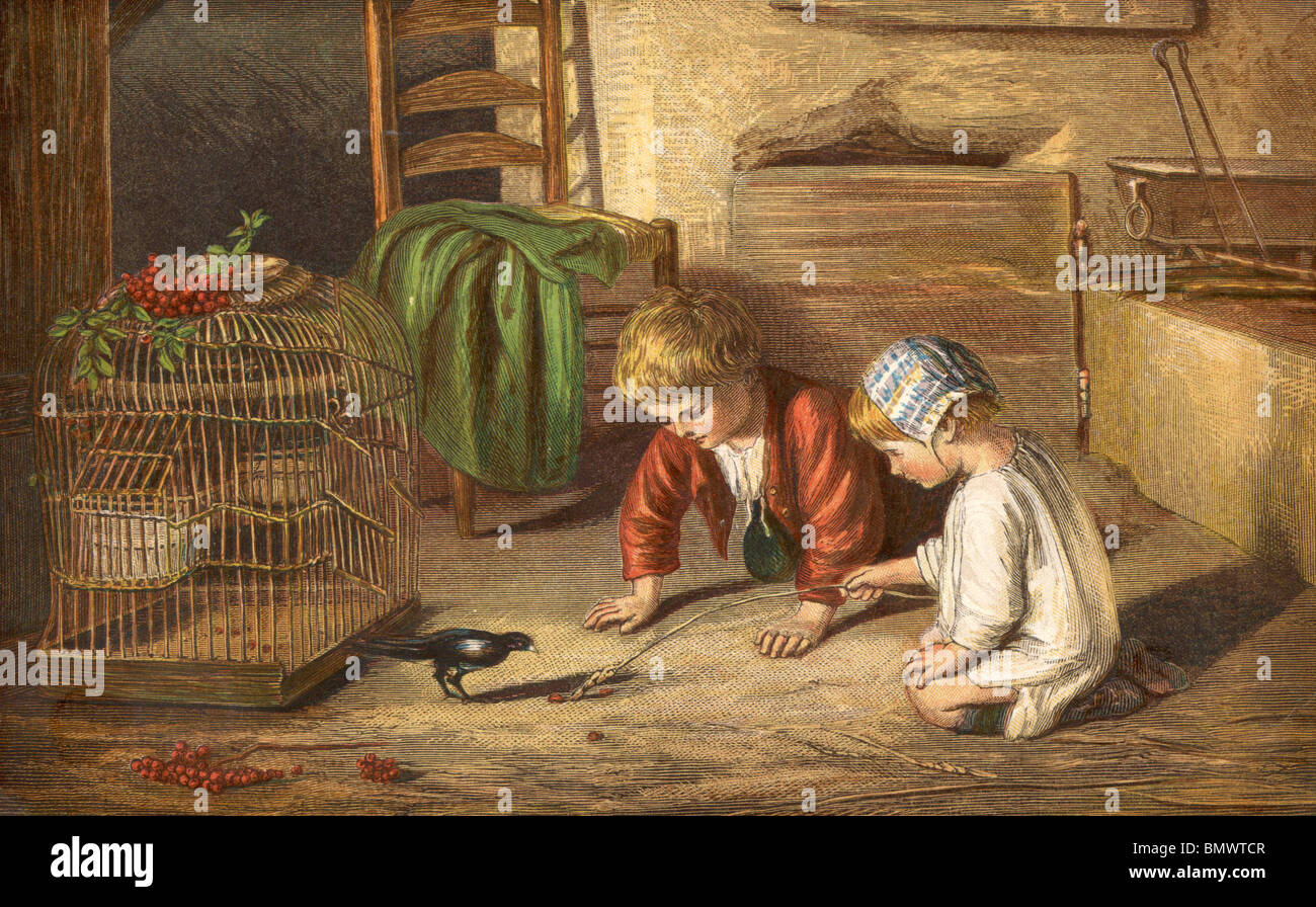 Children watching birds hi-res stock photography and images - Alamy