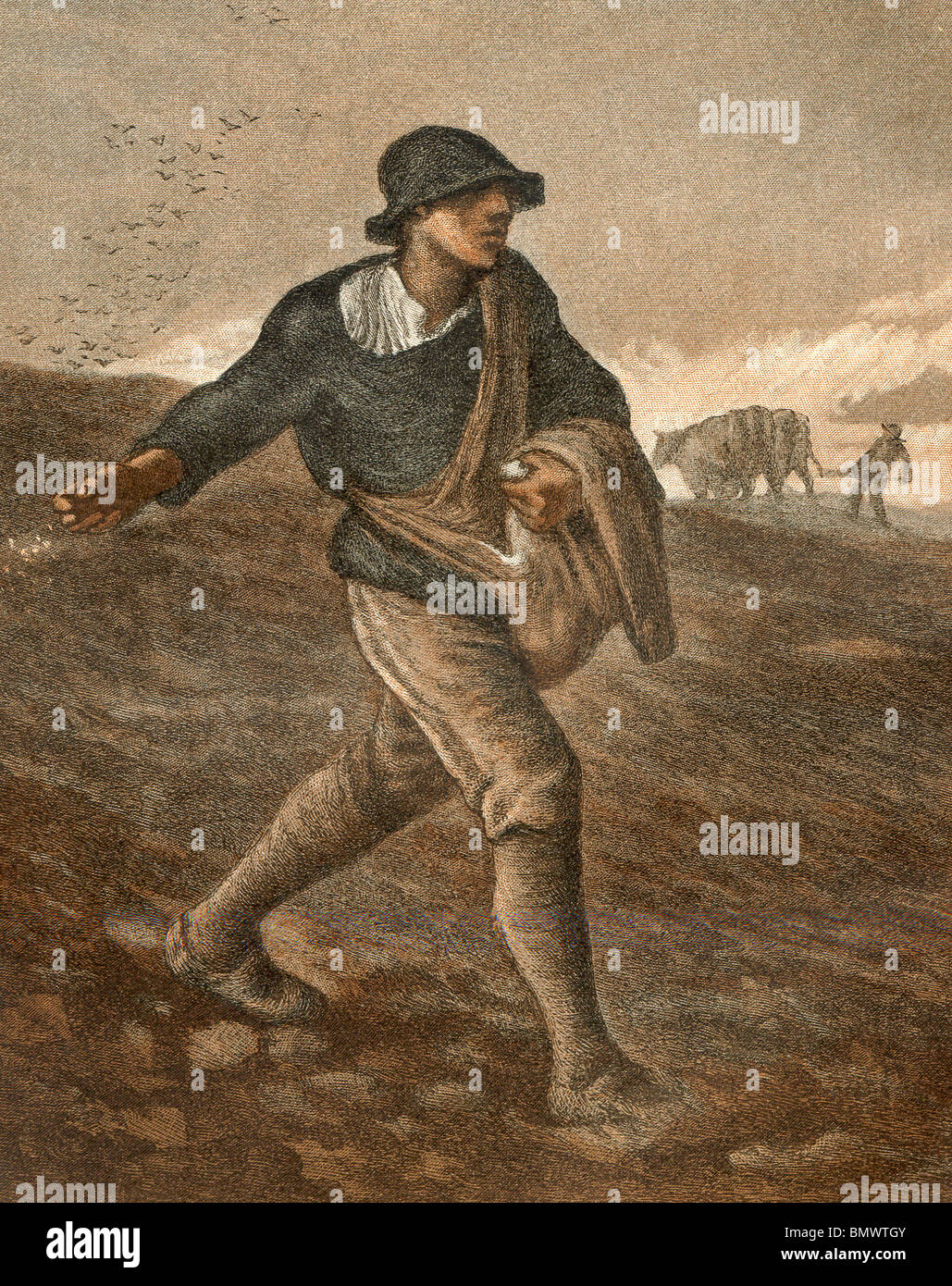 The sower hi-res stock photography and images - Alamy