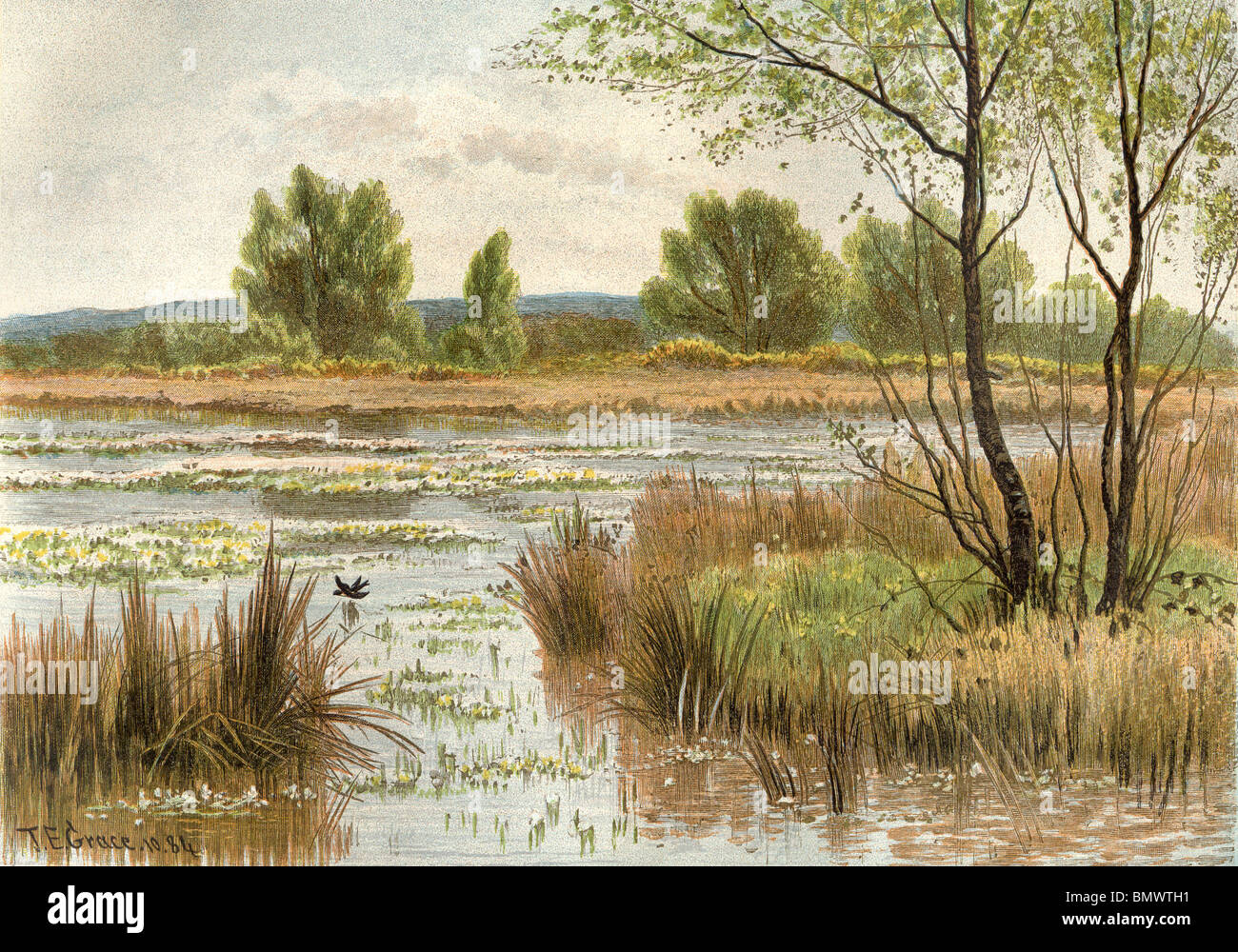 A Spring Morning Stock Photo - Alamy