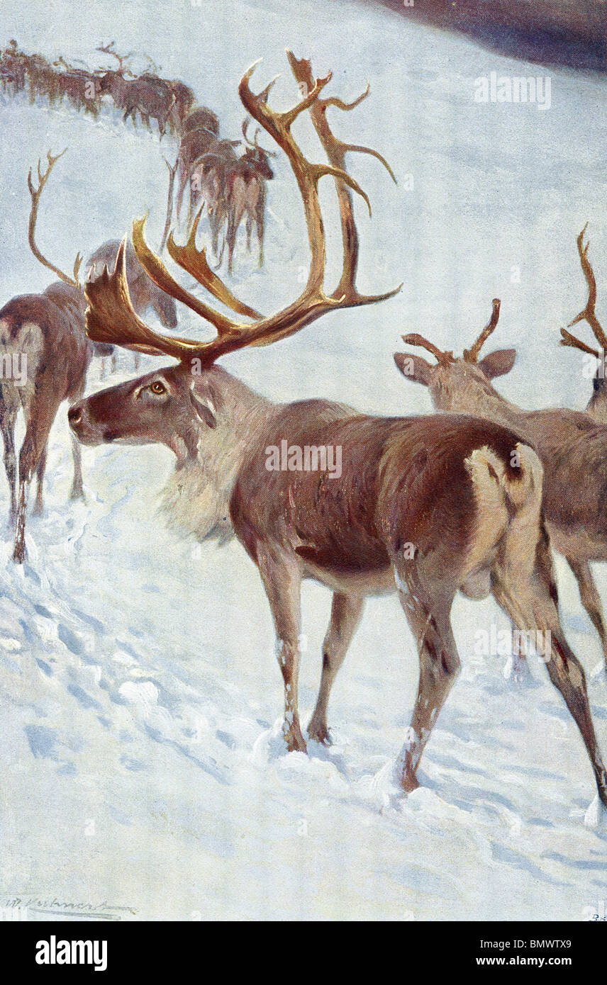 Reindeer illustration victorian hi-res stock photography and images - Alamy