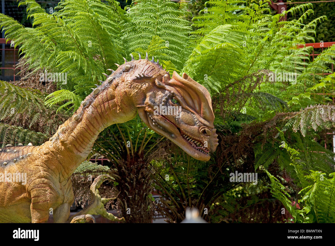 Head of Dilophosaurus a theropod dinosaur Wildlife Park Combe Martin ...
