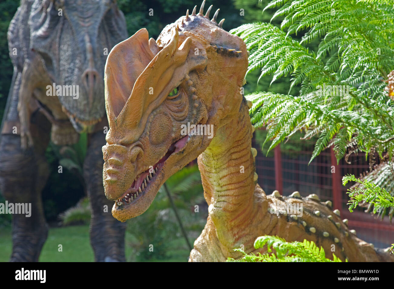 Head of Dilophosaurus a theropod dinosaur Wildlife Park Combe Martin ...