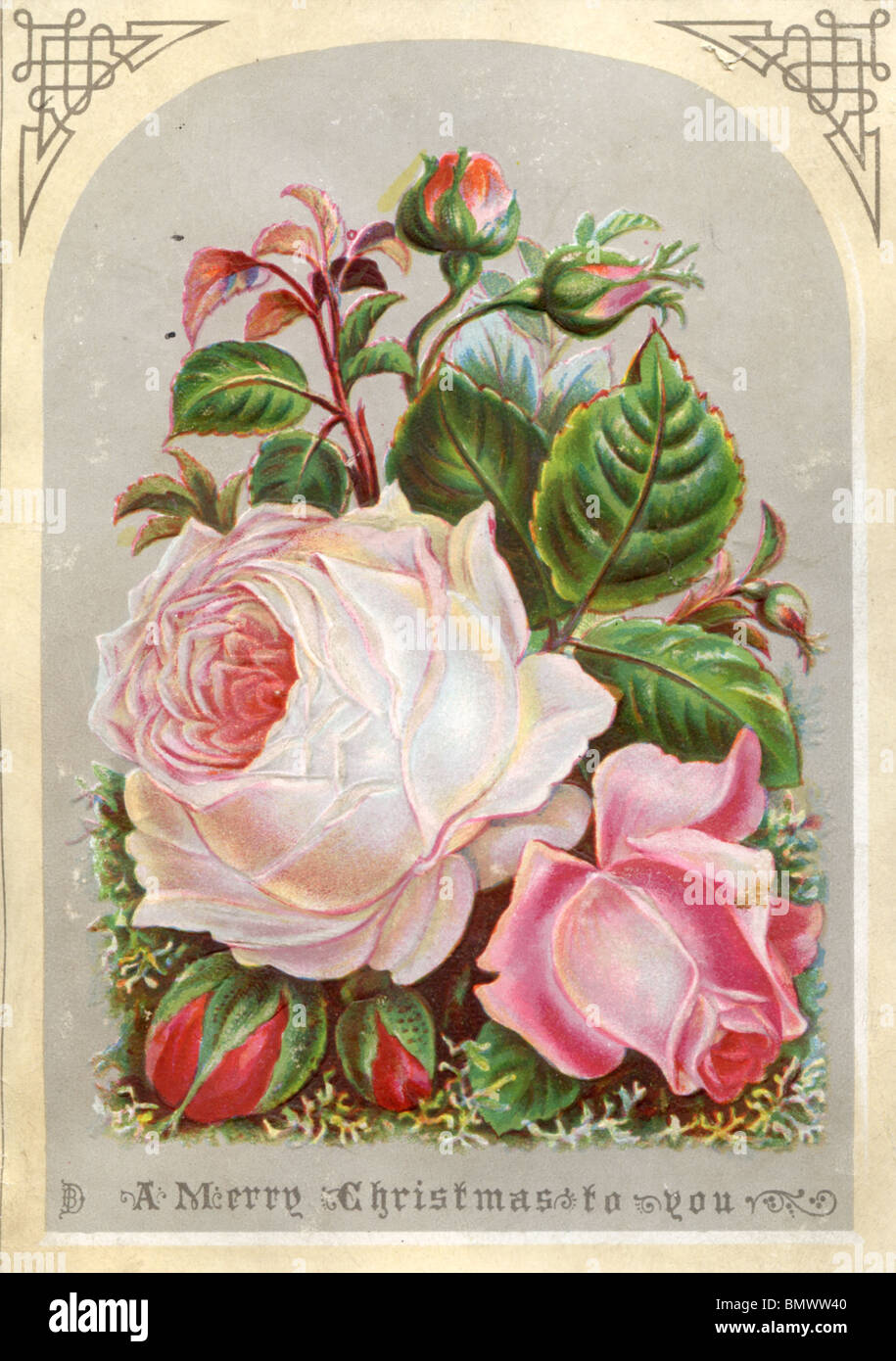 Christmas Card with Pink Roses Stock Photo - Alamy