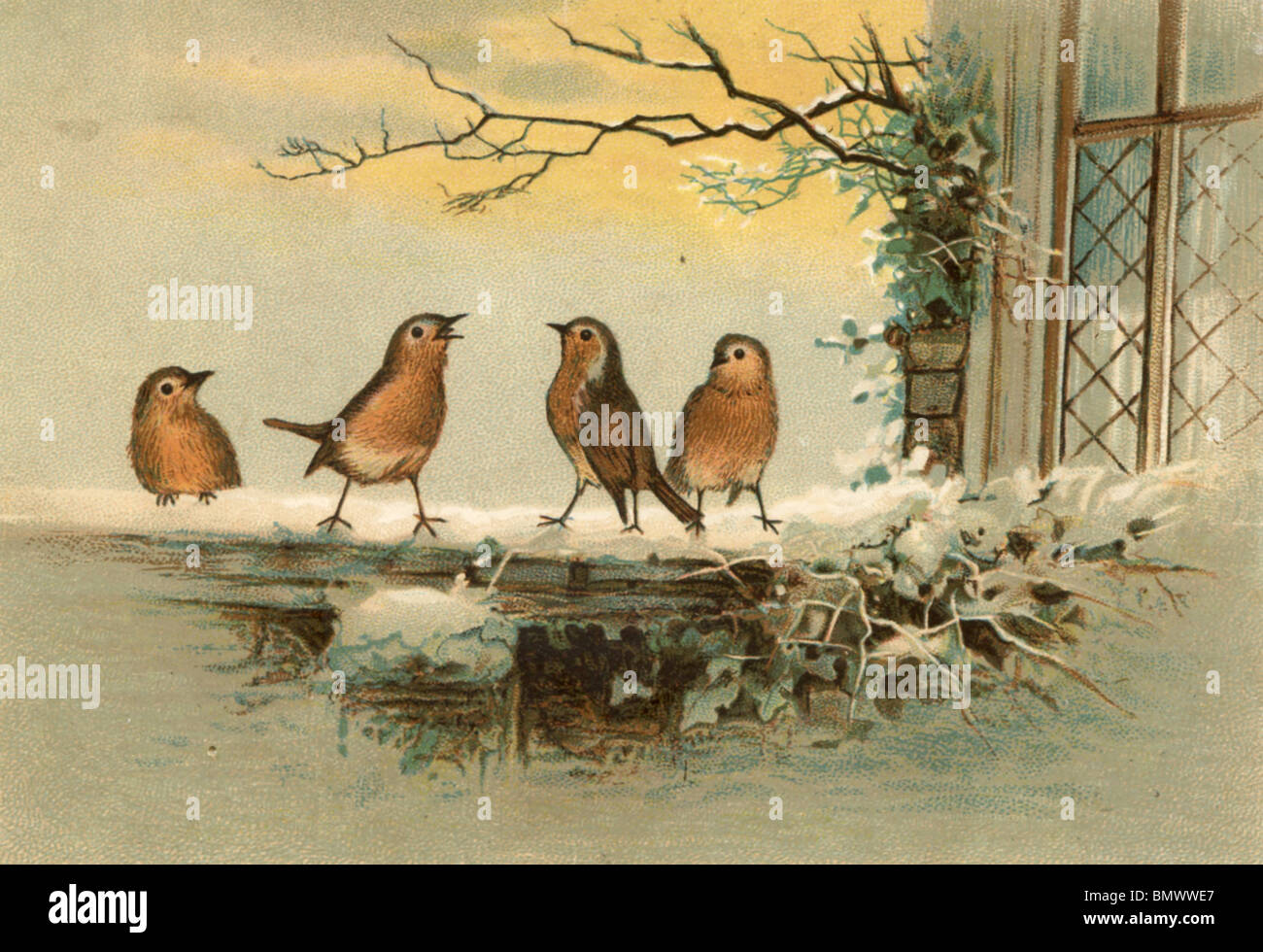 Robin winter scene hi-res stock photography and images - Alamy