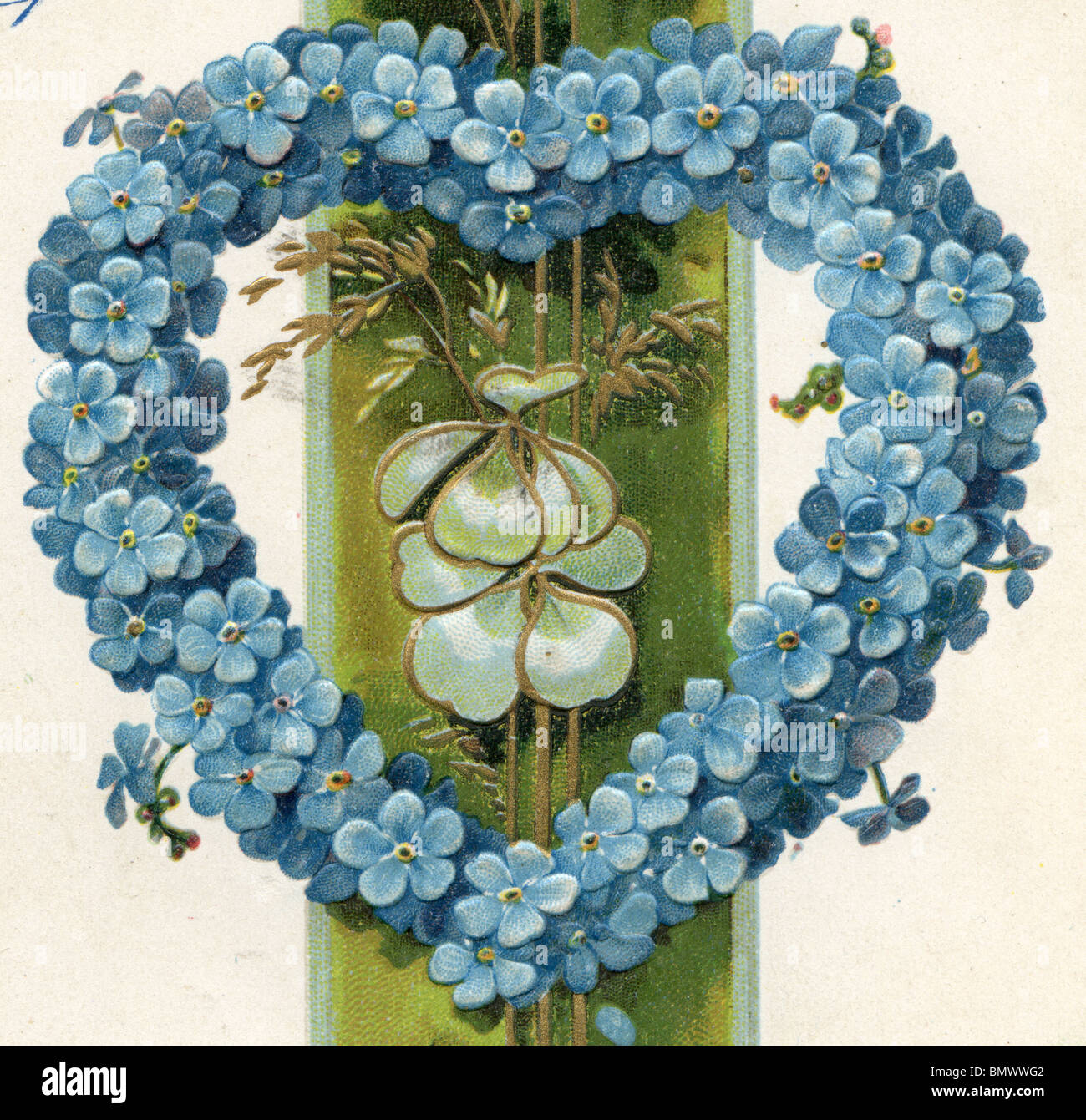 Forget-Me-Nots in a Heart Shape Stock Photo - Alamy