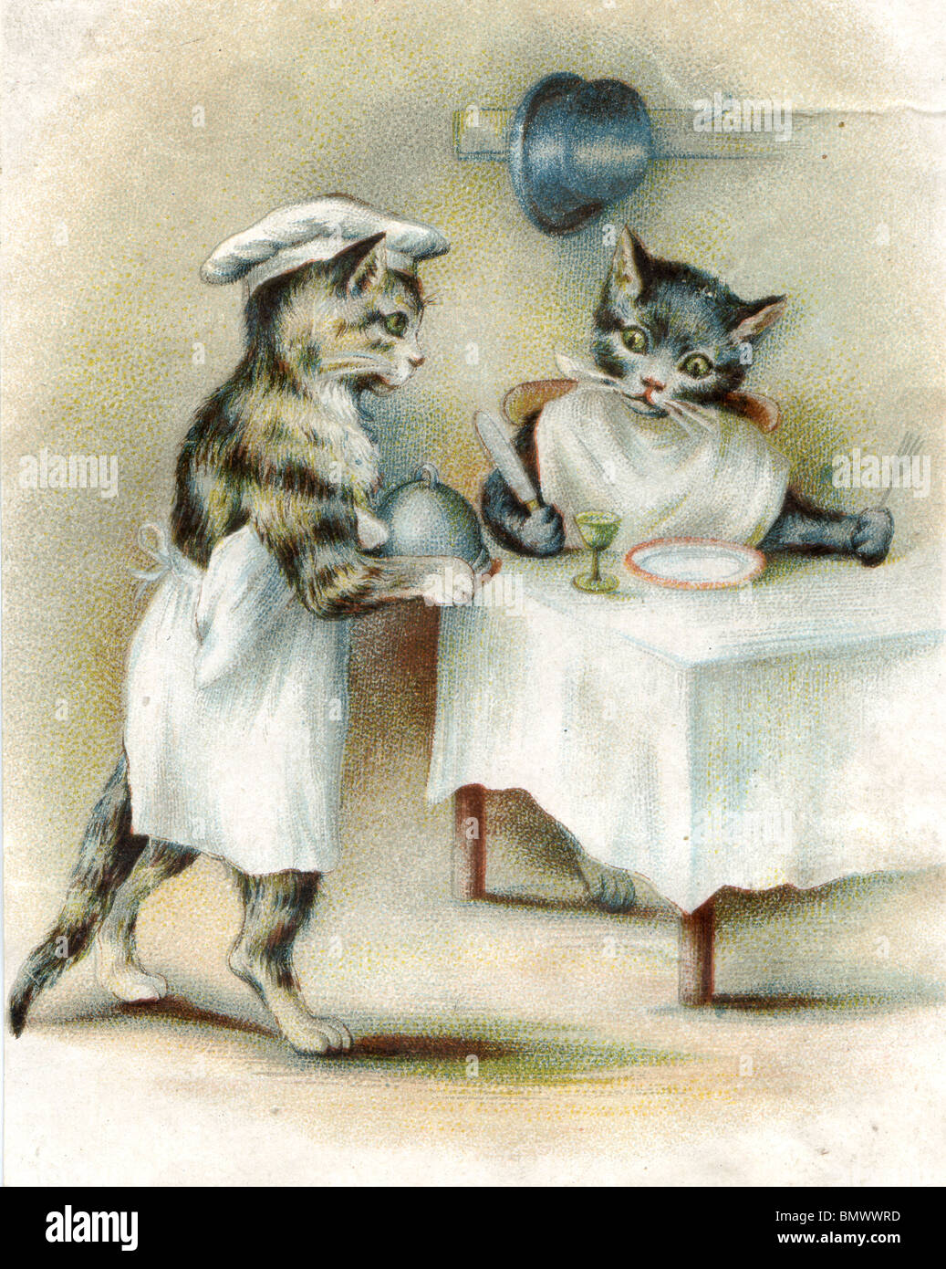 Tea Time for the Cats Stock Photo - Alamy