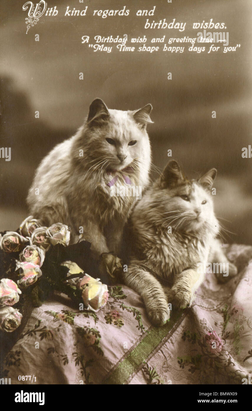 1899 birthday hi-res stock photography and images - Alamy