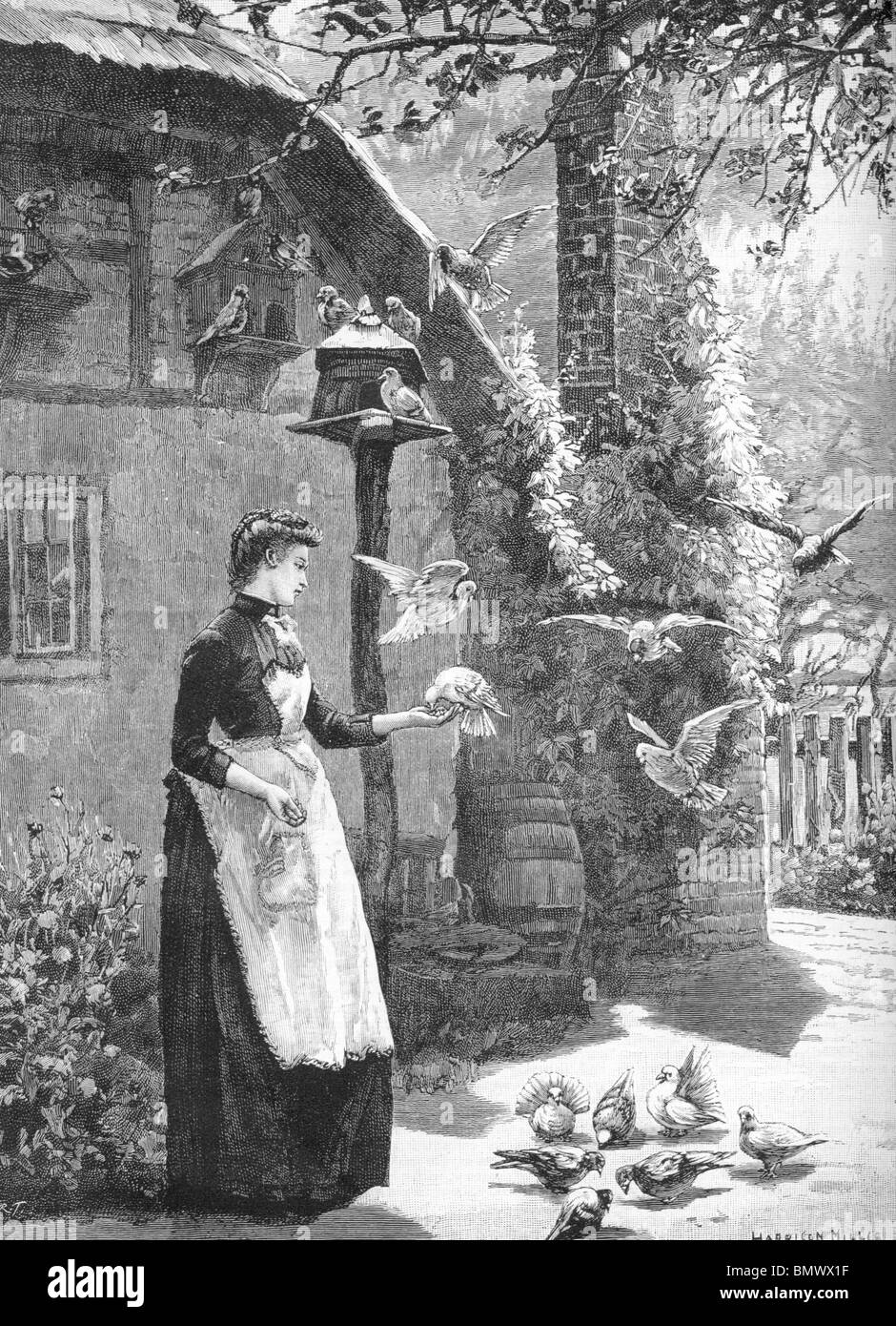 Old lady feeding birds hi-res stock photography and images - Alamy