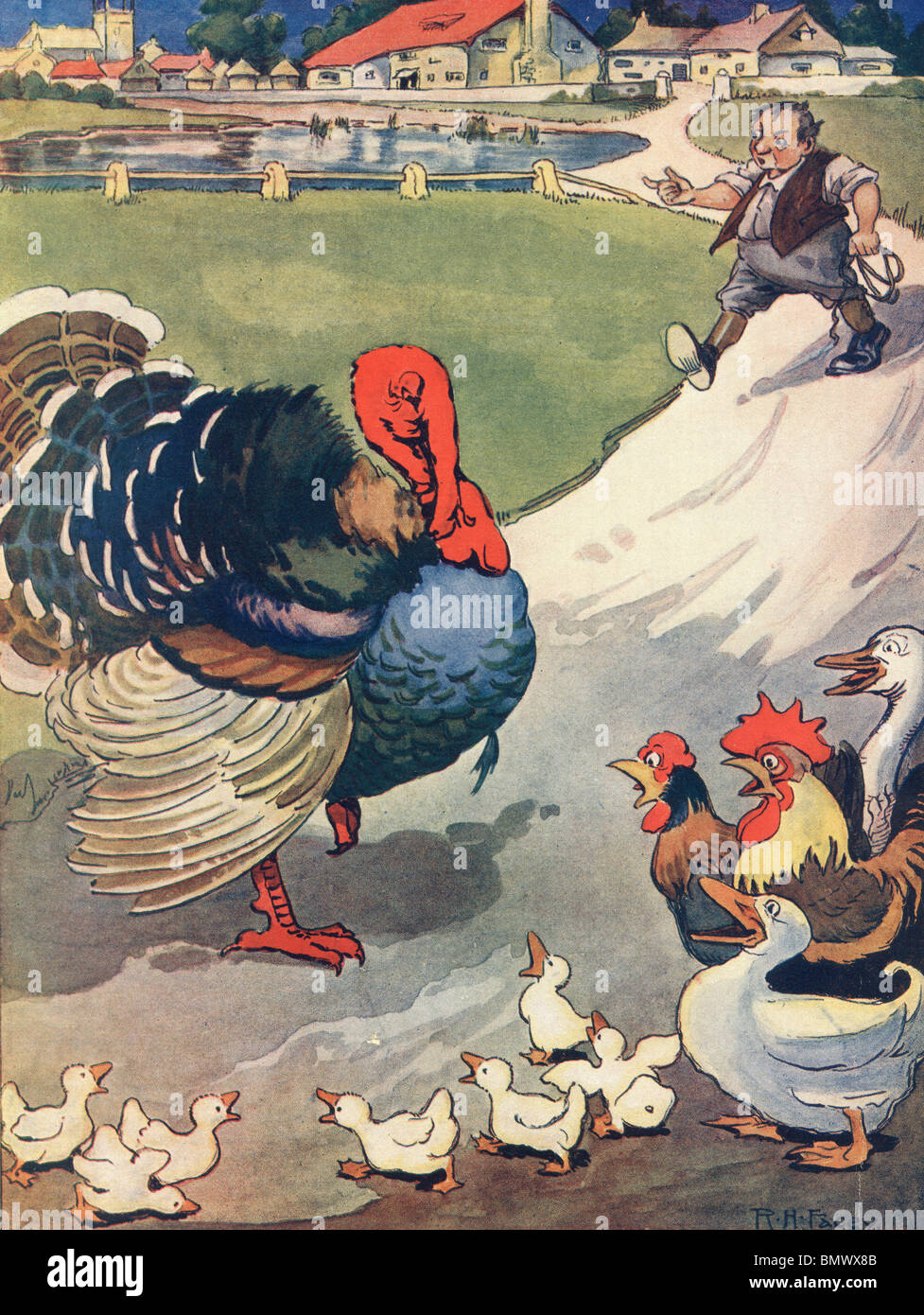 Turkeys and chickens by the pond hi-res stock photography and images ...