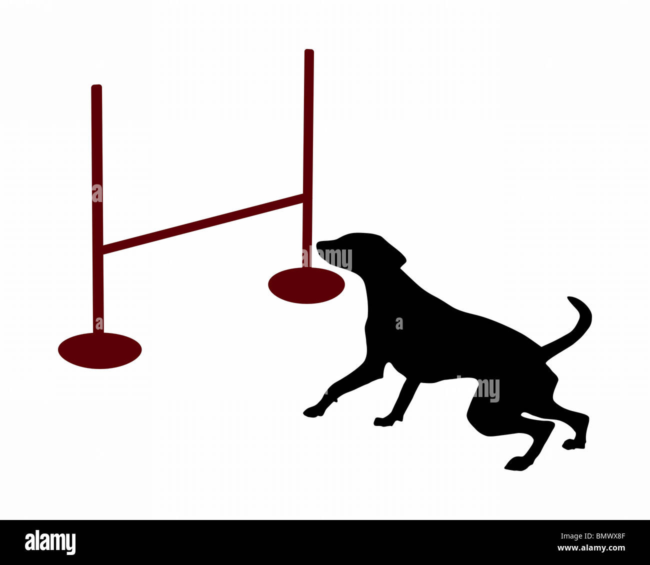 Agility: Dog is jumping over a hurdle Stock Photo - Alamy