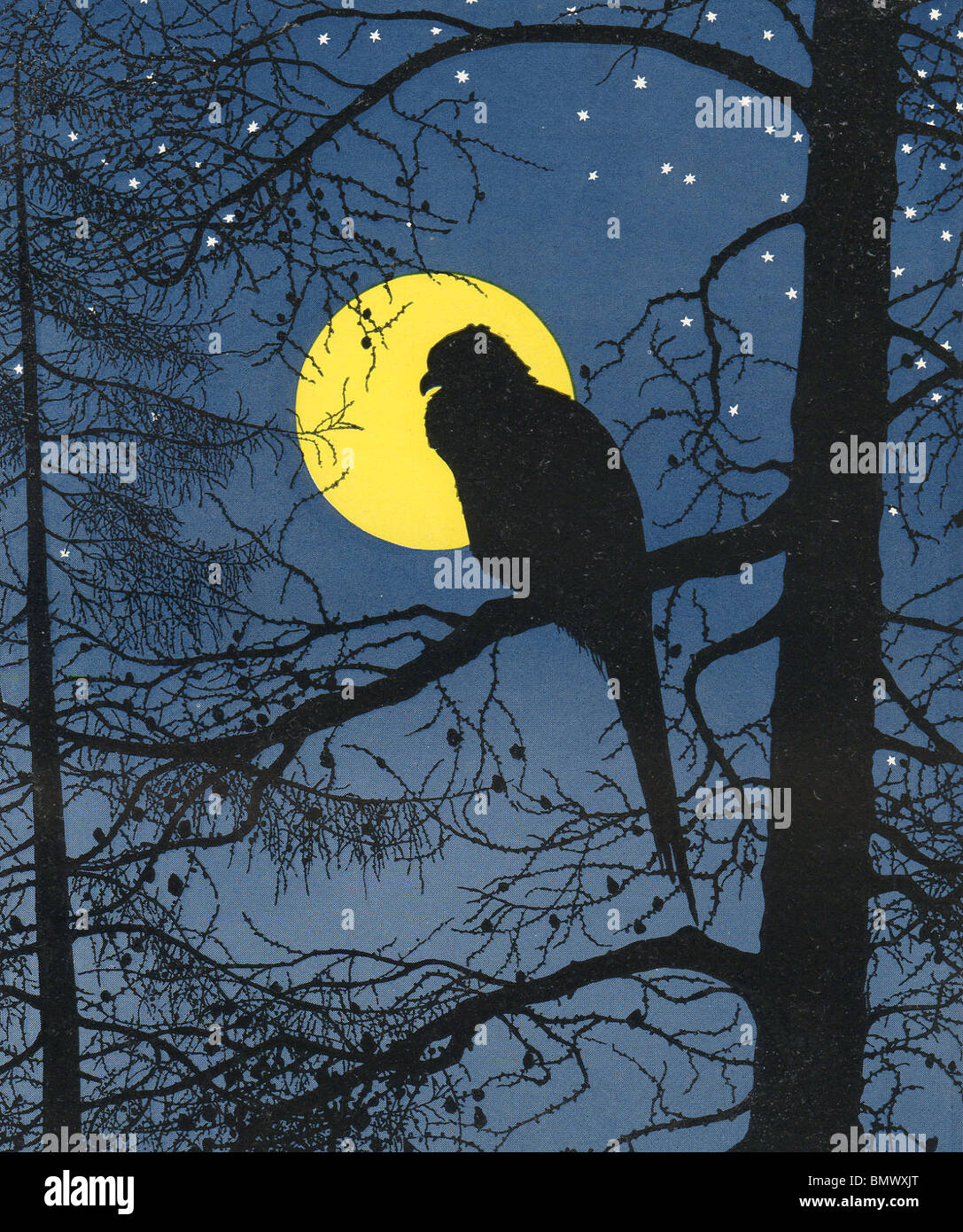 Bird Sitting on a Tree Branch in the Moonlight Stock Photo - Alamy