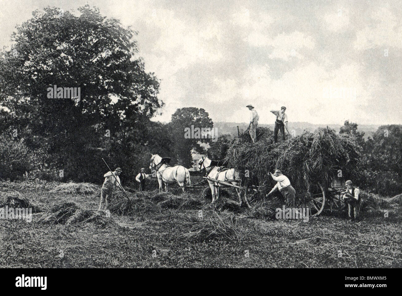 Haymaking hi-res stock photography and images - Alamy
