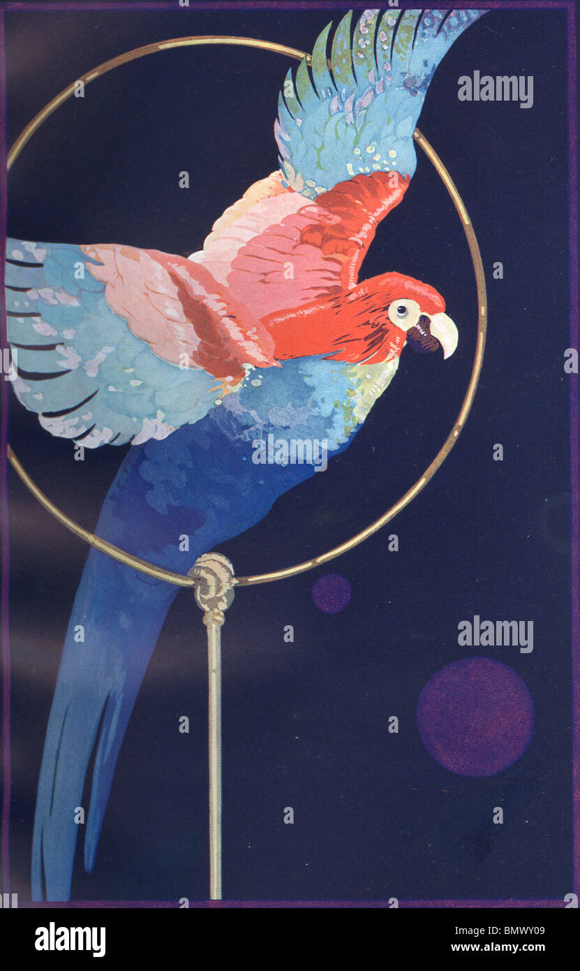 Bird of parrot hi-res stock photography and images - Alamy