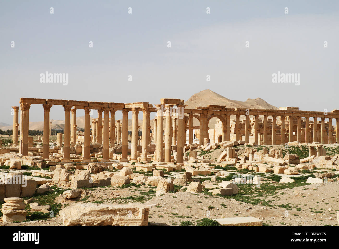 Remains of ancient city of Palmyra in Syria Stock Photo - Alamy