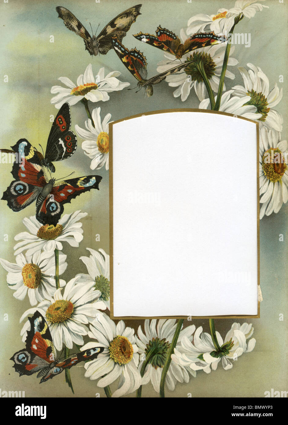 Decorative Photo Frame Stock Photo - Alamy