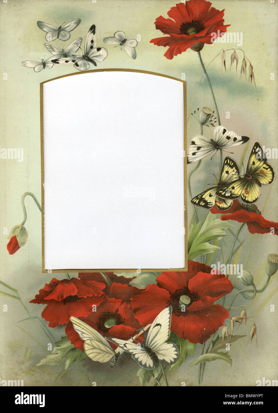 Decorative Photo Frame - Red Poppies and Butterflies Stock Photo - Alamy