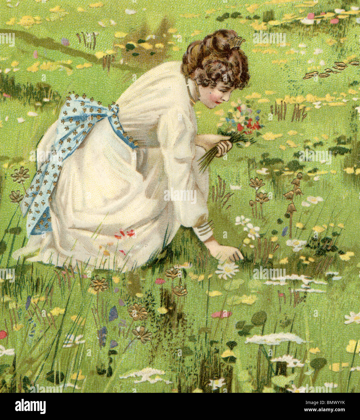 Lady picking flowers hi-res stock photography and images - Alamy