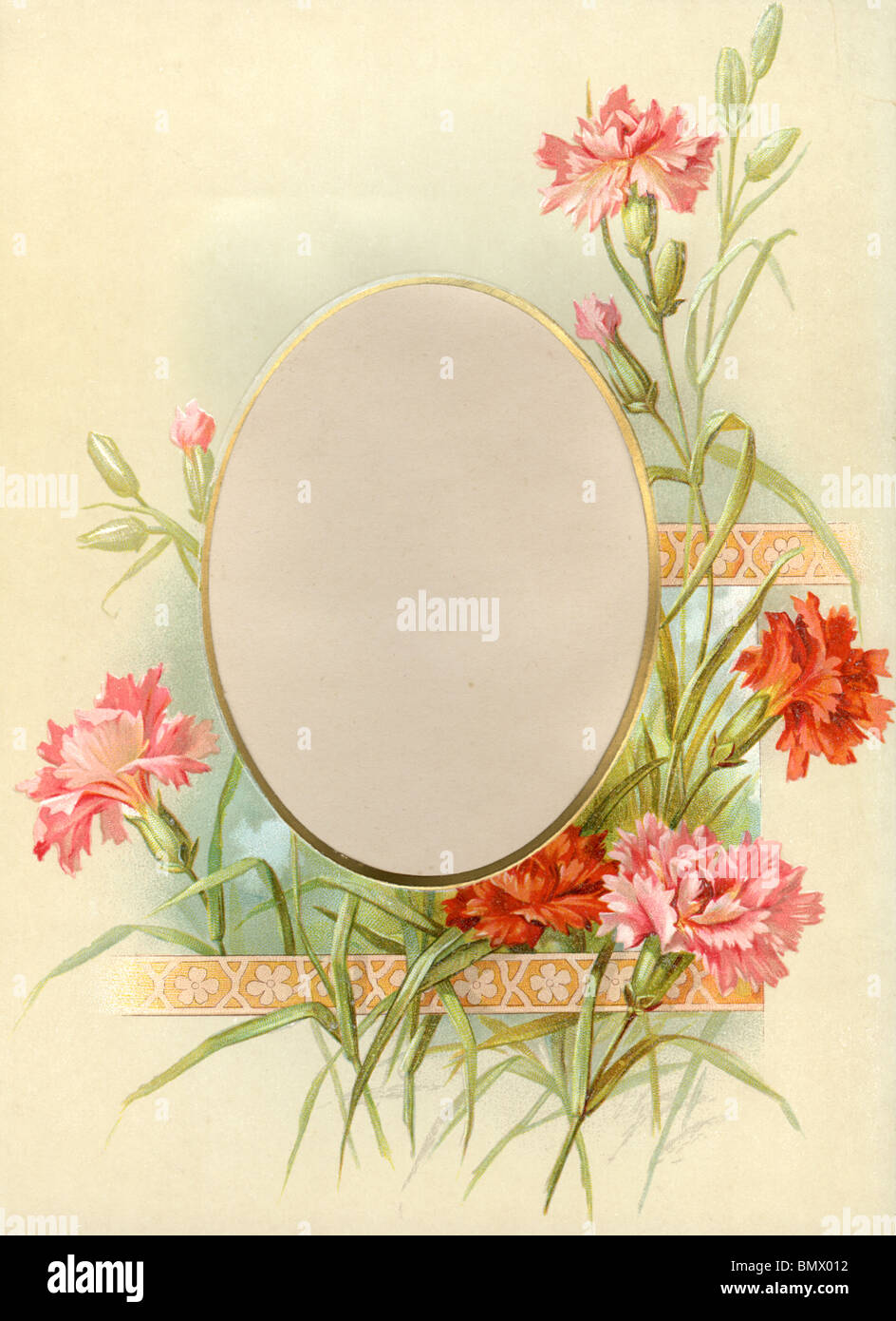 Decorative Frame - Carnations Stock Photo - Alamy