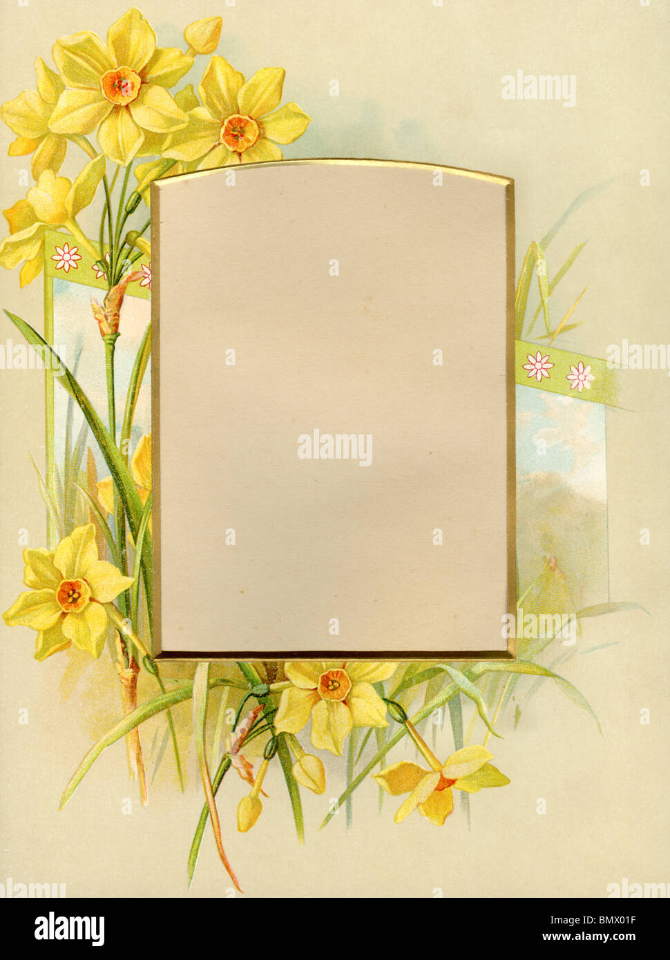 Decorative Frame - Daffodils Stock Photo - Alamy