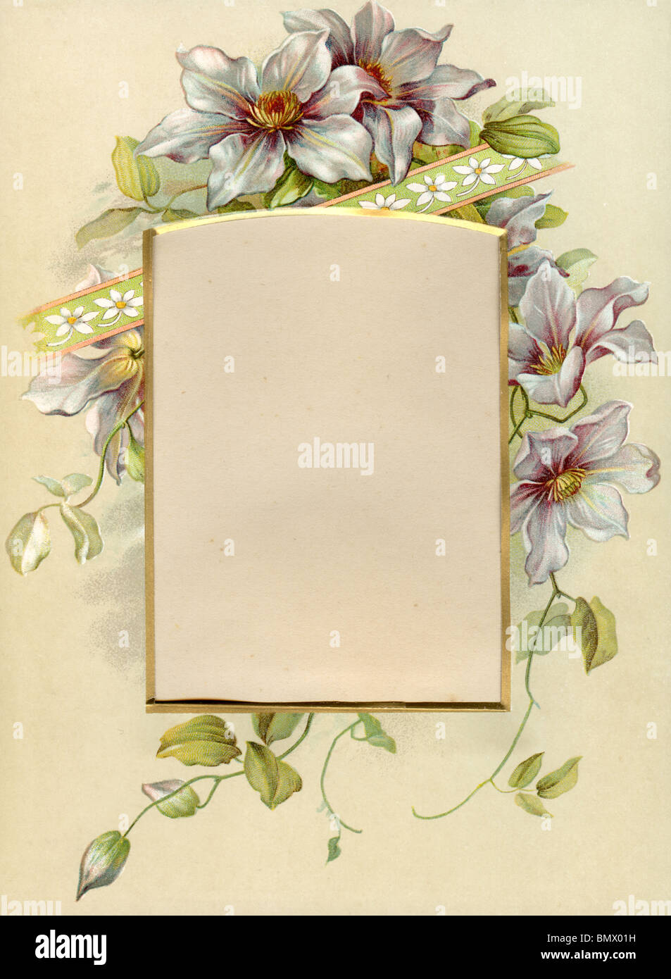 Decorative Frame - Clematis Stock Photo - Alamy