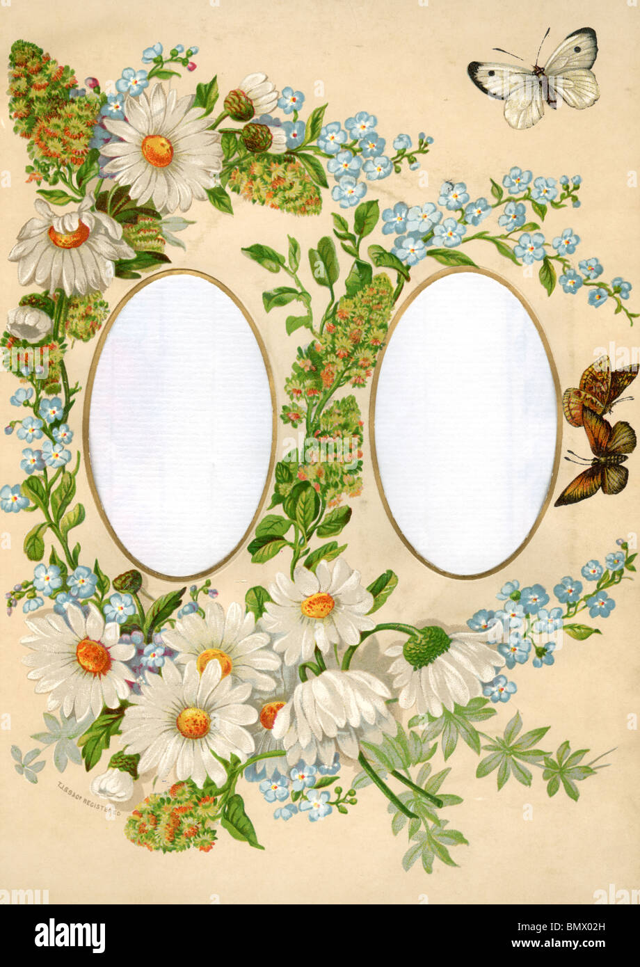 Decorative Frame -Daisies and Forget-Me-Nots Stock Photo - Alamy