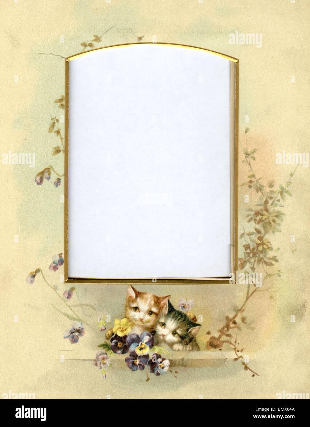 Decorative Frame - Cats & Pansies Stock Photo - Alamy