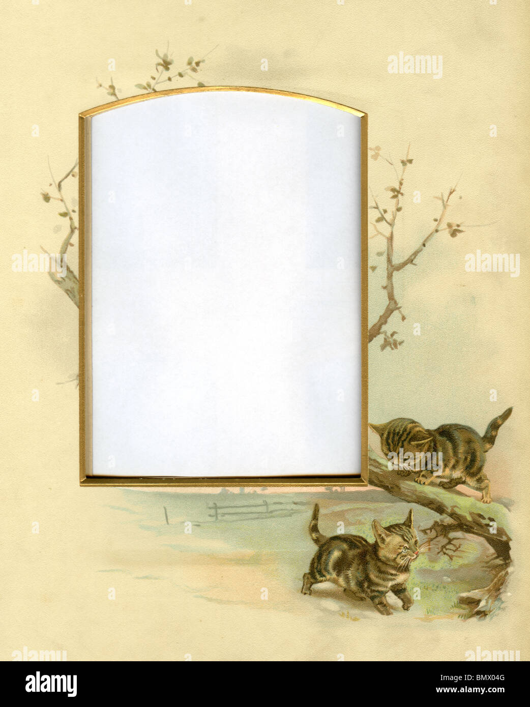 Decorative Frame - Cats Stock Photo - Alamy