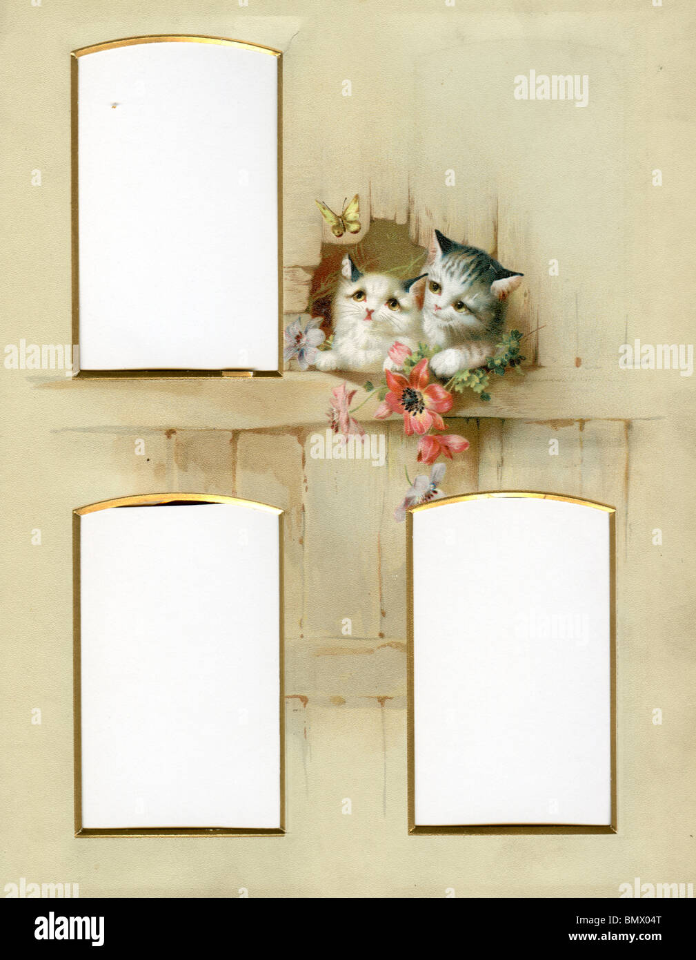 Decorative Frame - Cats Stock Photo - Alamy