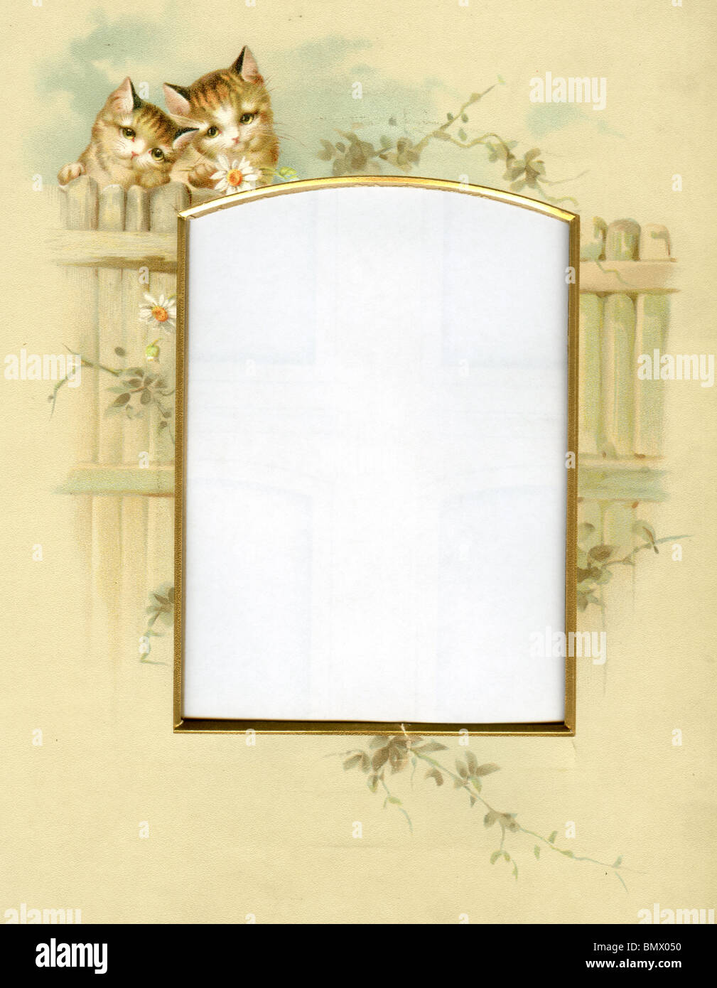 Decorative Frame - Cats Stock Photo - Alamy