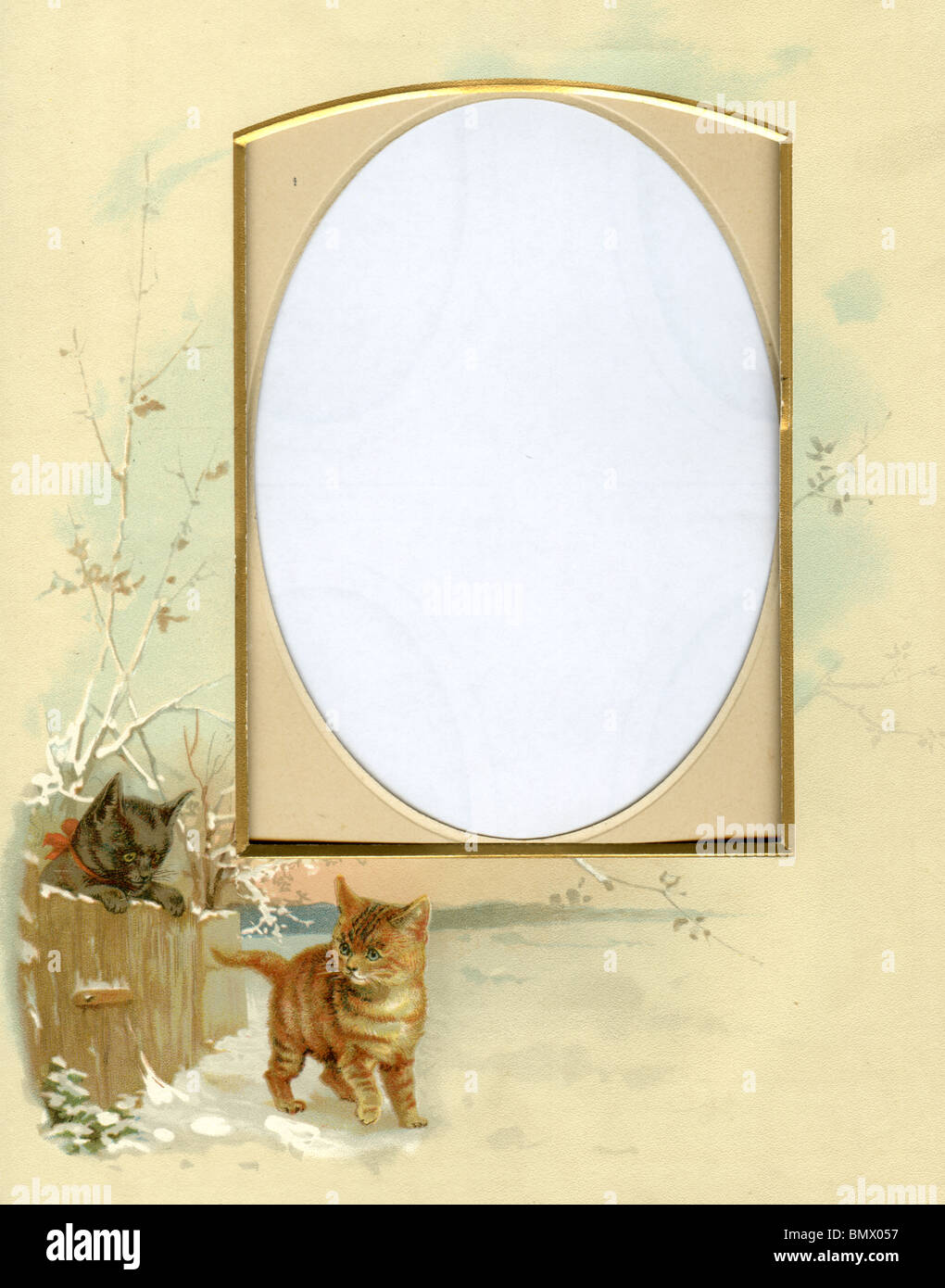 Decorative Frame - Cats Stock Photo - Alamy
