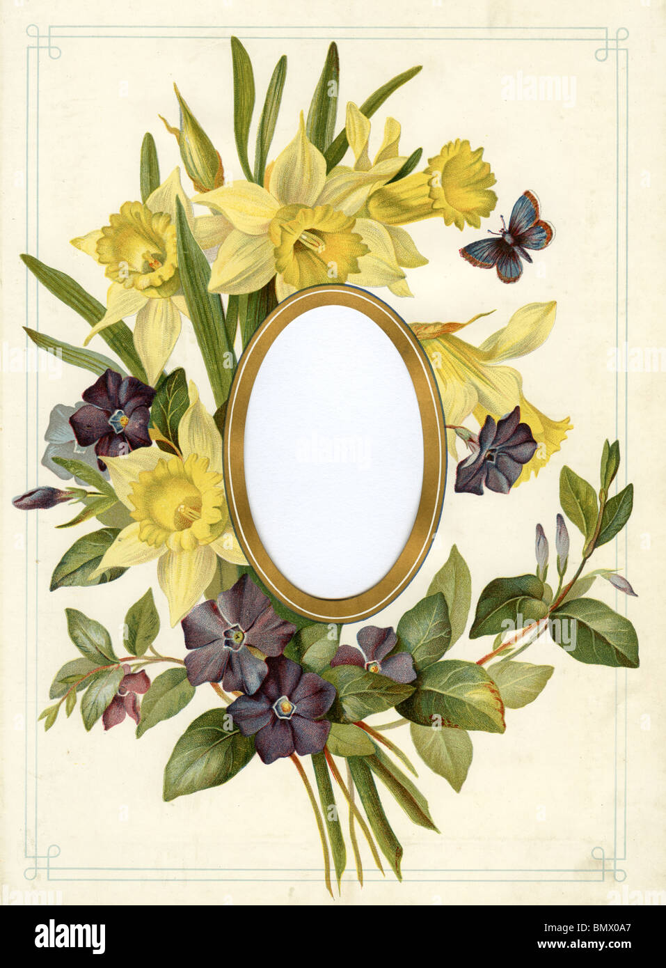 Decorative Frame - Daffodils Stock Photo - Alamy