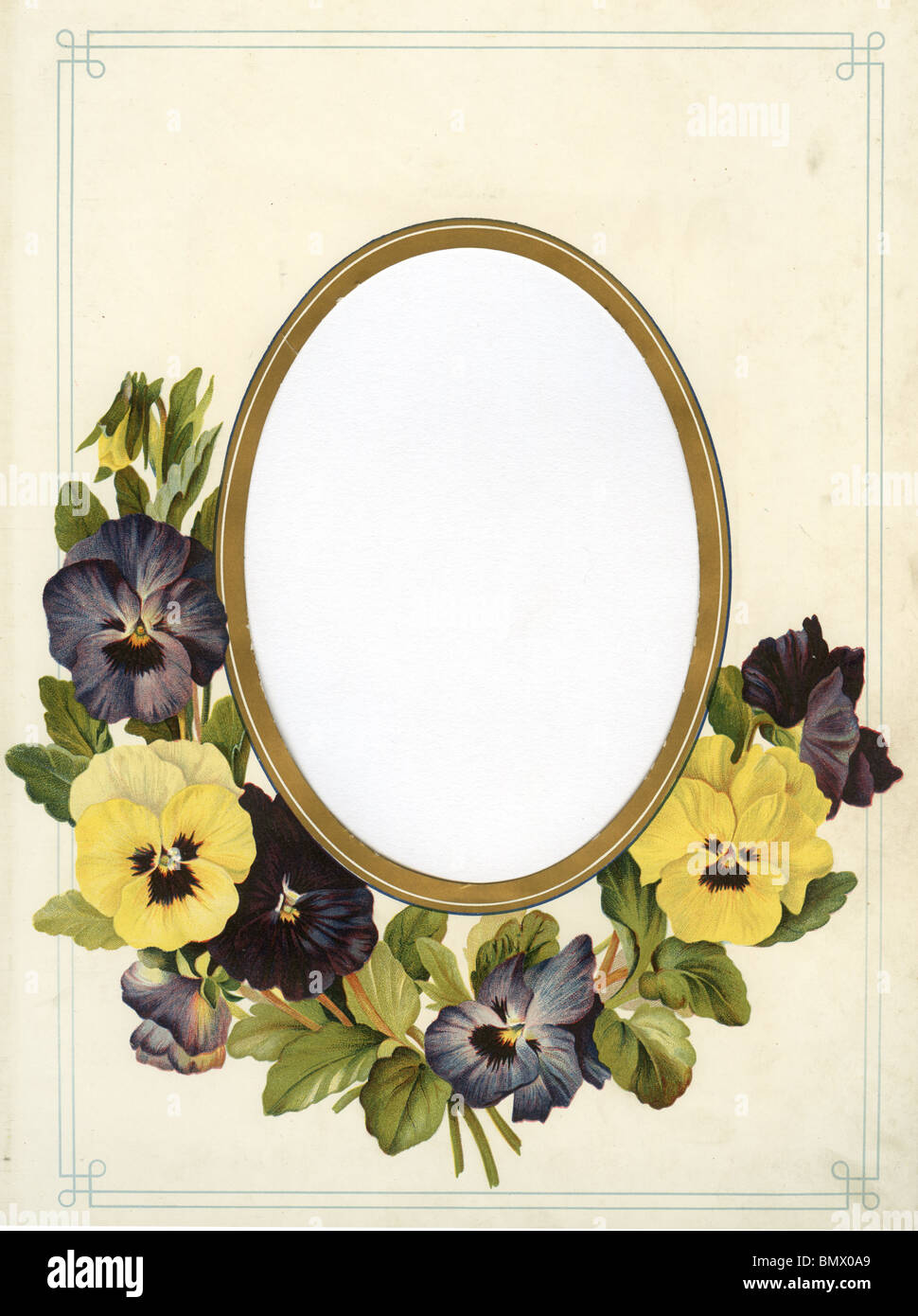 Decorative Frame - Pansies Stock Photo - Alamy