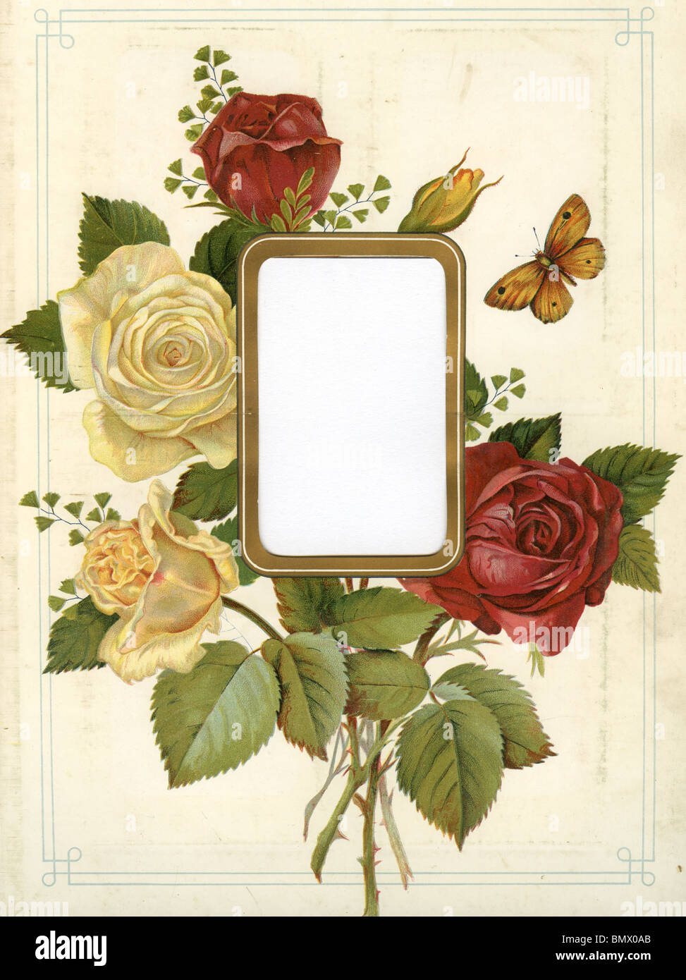 Crimson rose butterfly hi-res stock photography and images - Alamy