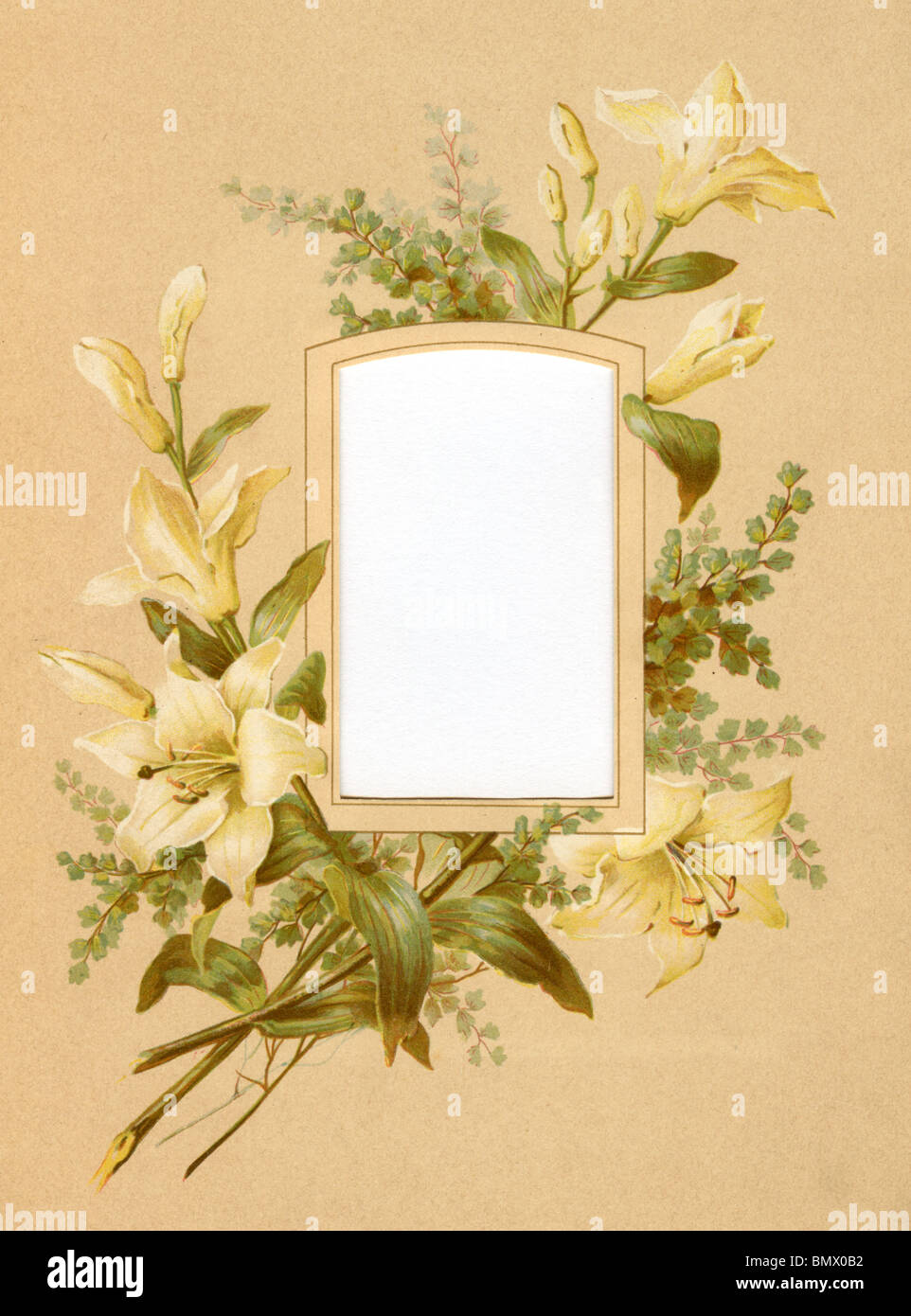 Decorative Frame - Lilies Stock Photo - Alamy