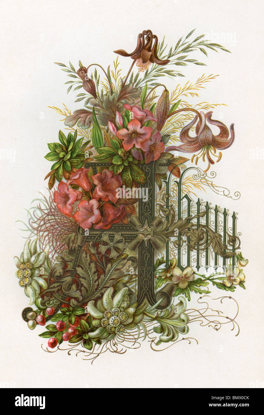 Album cover with flowers hi-res stock photography and images - Alamy
