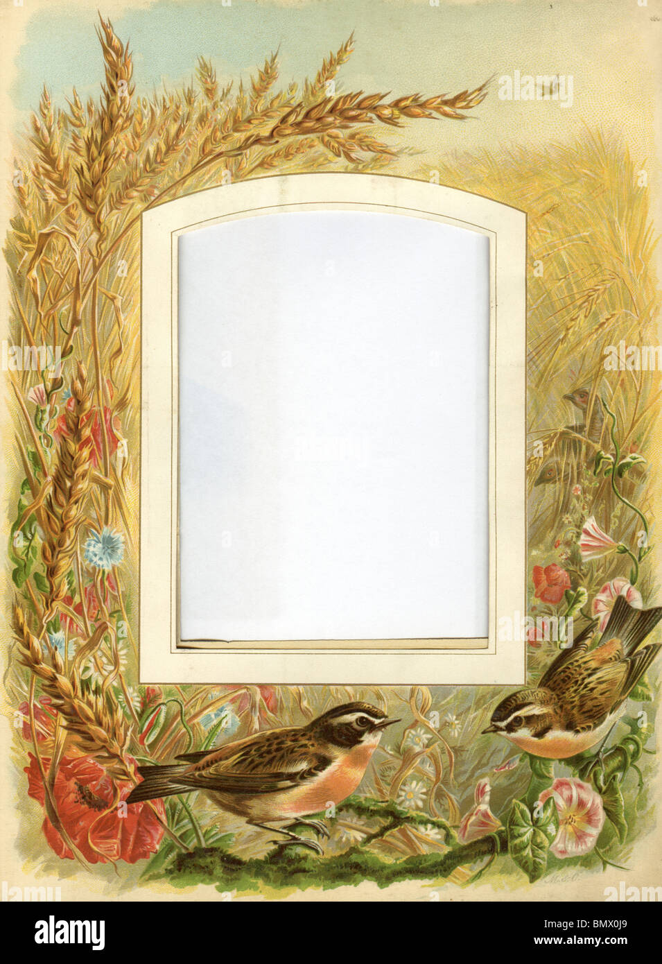 Decorative Photo Frame Stock Photo - Alamy