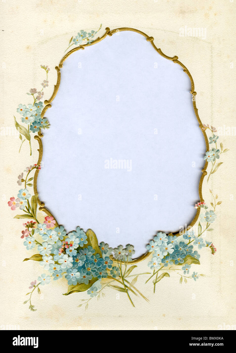 Decorative frame forget me nots hi-res stock photography and images - Alamy