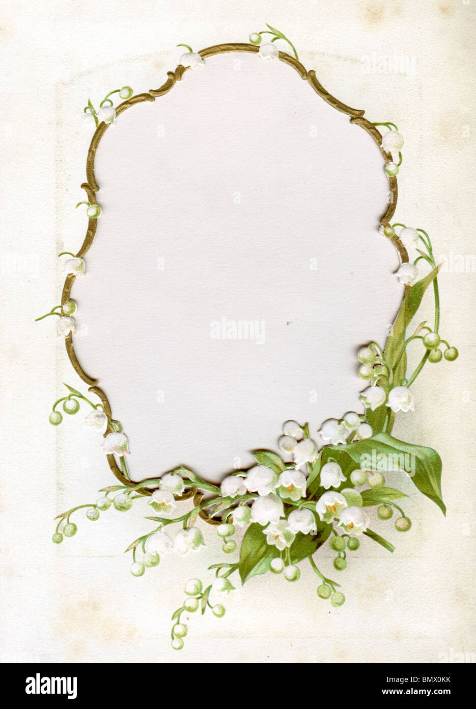 Lily of the valley drawing hi-res stock photography and images - Alamy