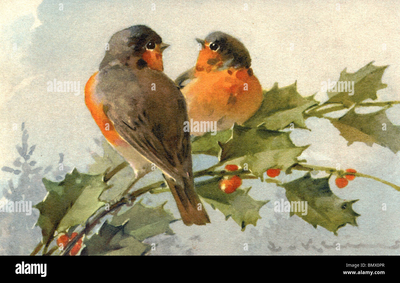 Robins and Holly Stock Photo - Alamy