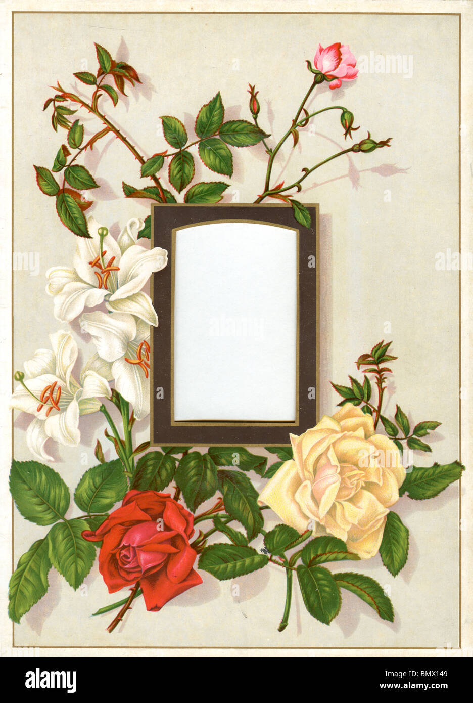 Decorative frame roses lilies hi-res stock photography and images - Alamy